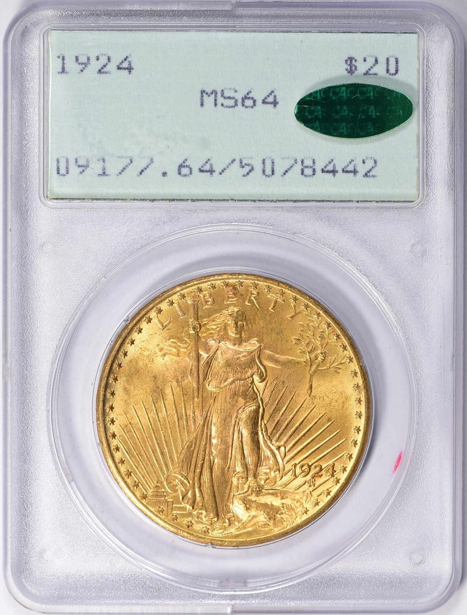 1924 Saint-Gaudens Gold Double Eagle PCGS MS-64 (CAC Green) OGH (1st Gen) (Item 1076346 ...