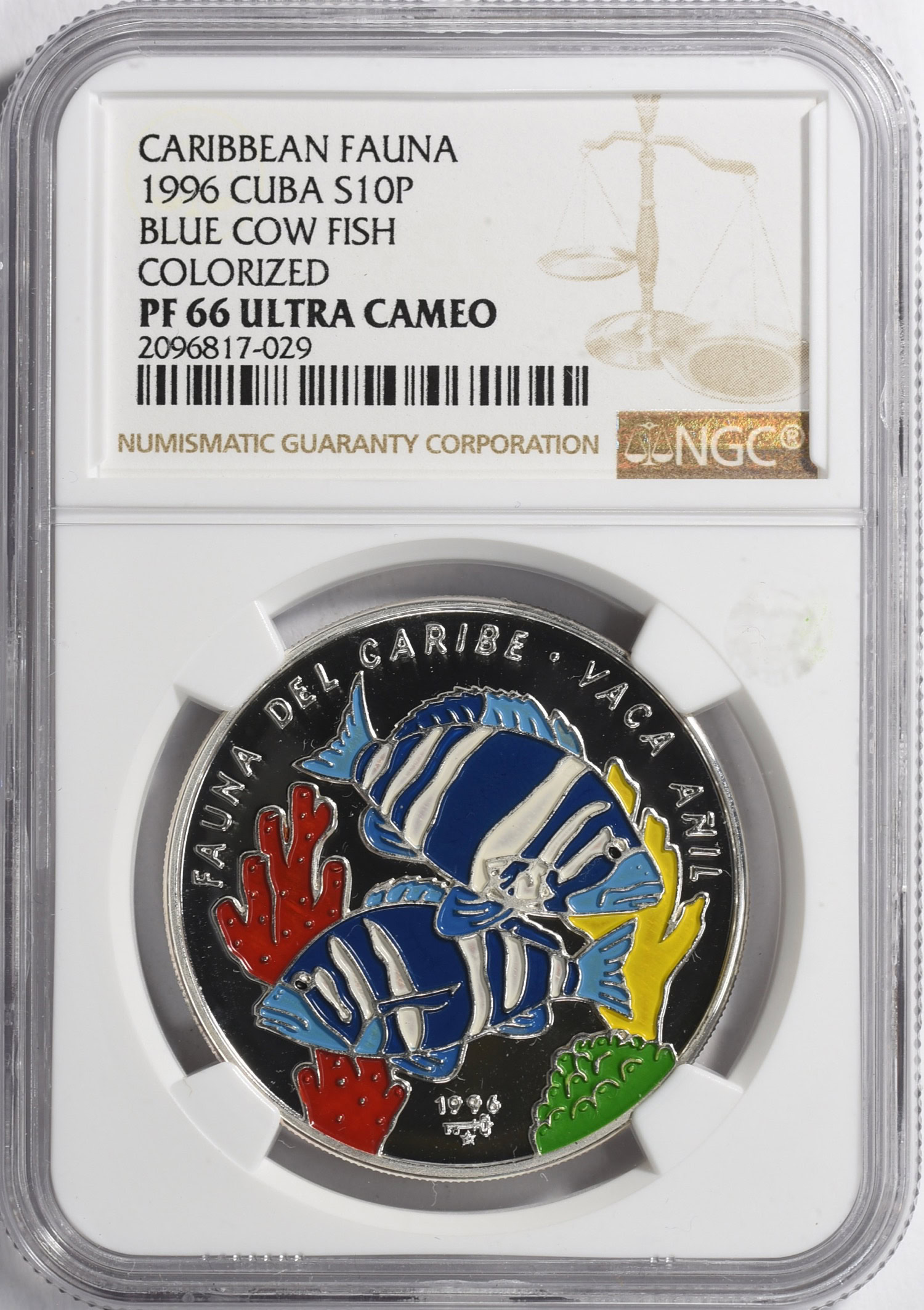 Cuba 1996 Silver 10 Pesos Caribbean Fauna Blue Cow Fish Colorized NGC ...