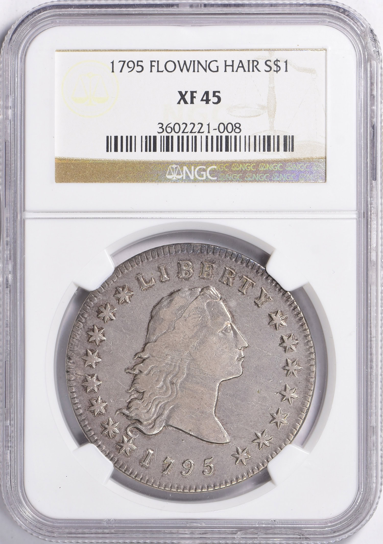 1795 Flowing Hair Silver Dollar 2 Leaves NGC XF-45 (Toned) (Item 1261686) | GreatCollections ...