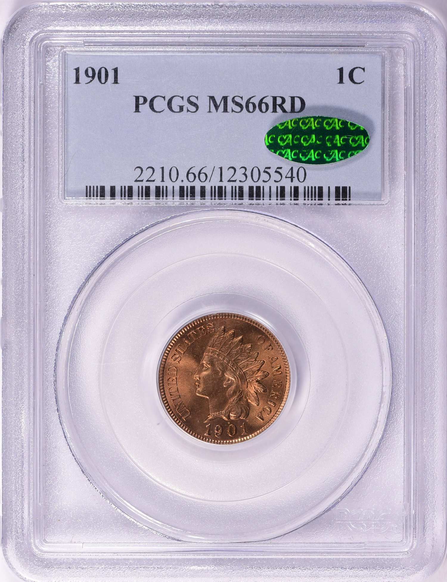 1901 Indian Cent PCGS MS-66 RD (CAC Green) (Item 1392826) | GreatCollections Coin Auctions