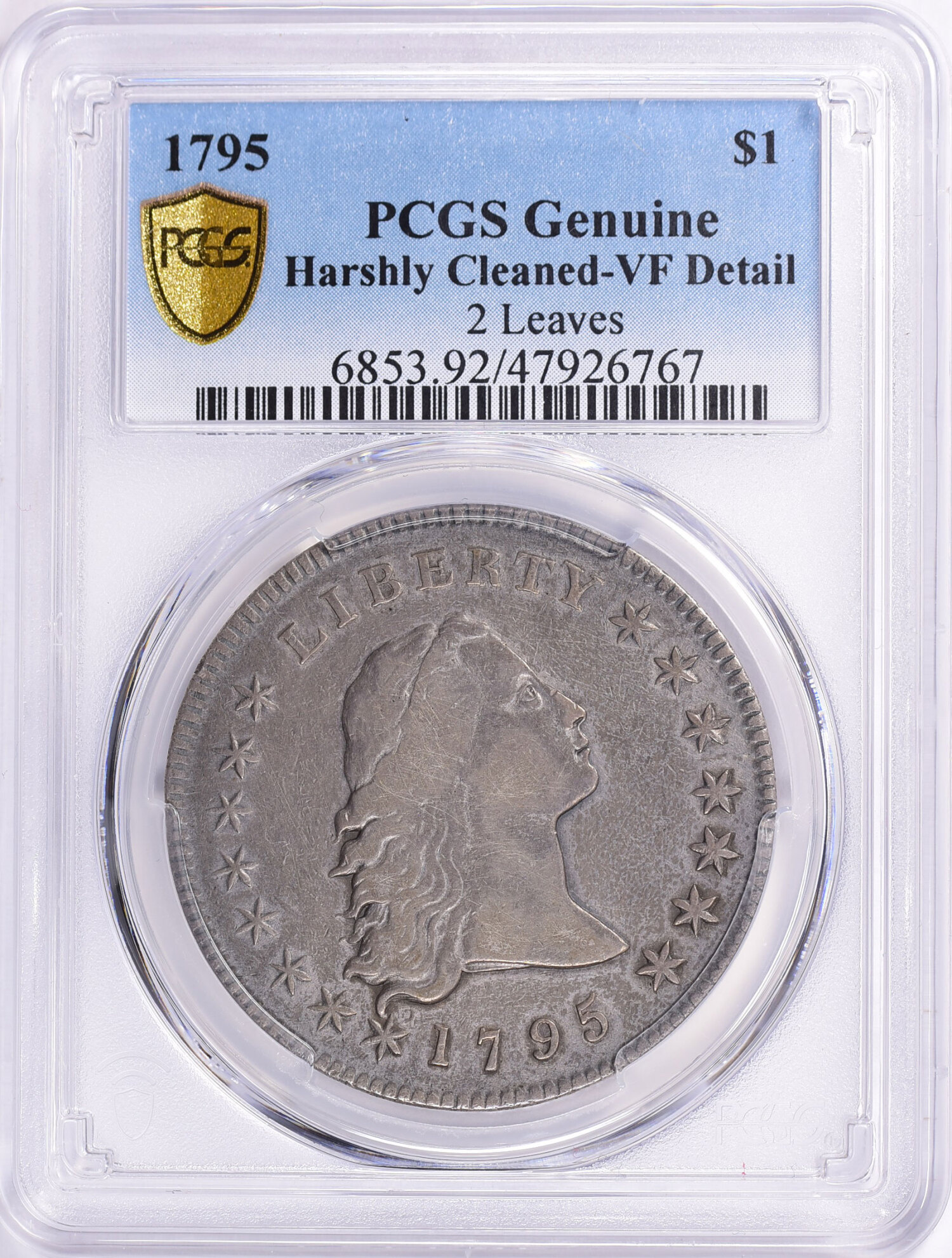 1795 Flowing Hair Silver Dollar 2 Leaves PCGS Genuine VF Details (Item 1408534 ...