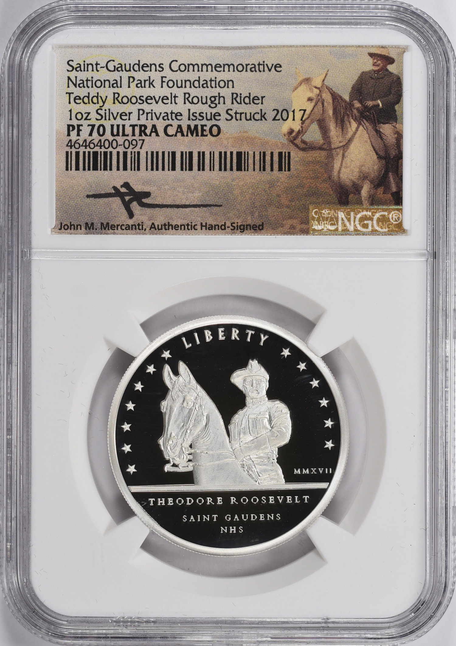 Saint-Gaudens Commemorative National Park Foundation Teddy Roosevelt ...