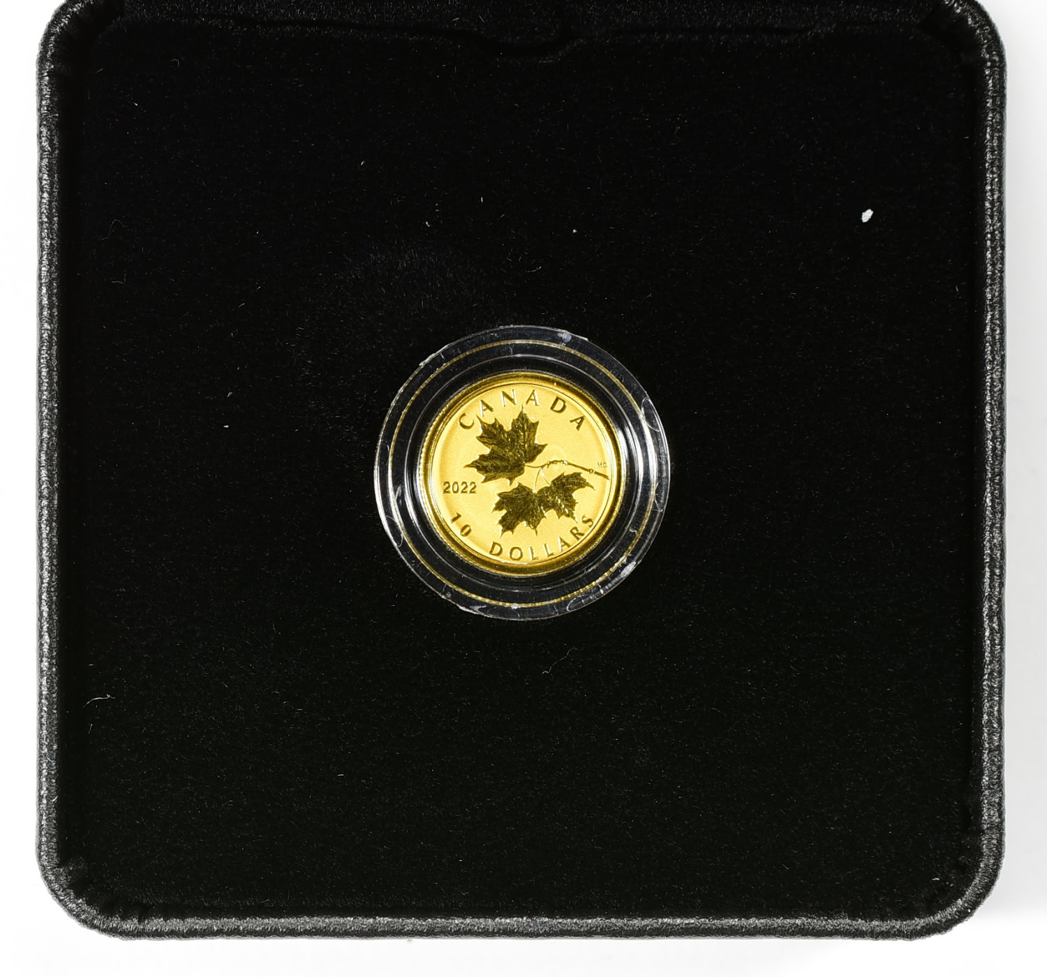 Canada 2022 Gold $10 Everlasting Maple Leaf Reverse Proof Uncertified ...