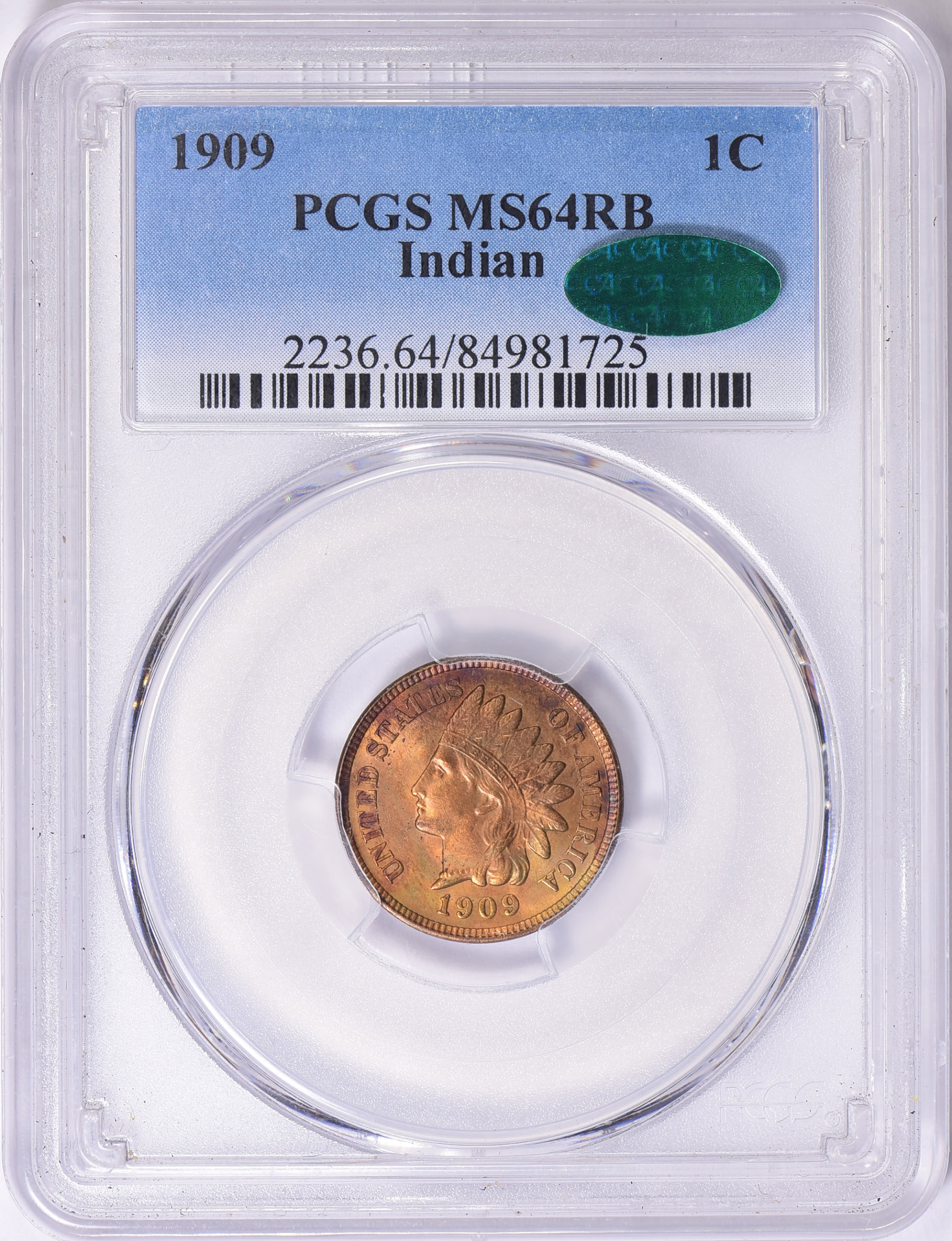 1909 Indian Cent PCGS MS-64 RB (CAC Green) (Item 1597001) | GreatCollections Coin Auctions