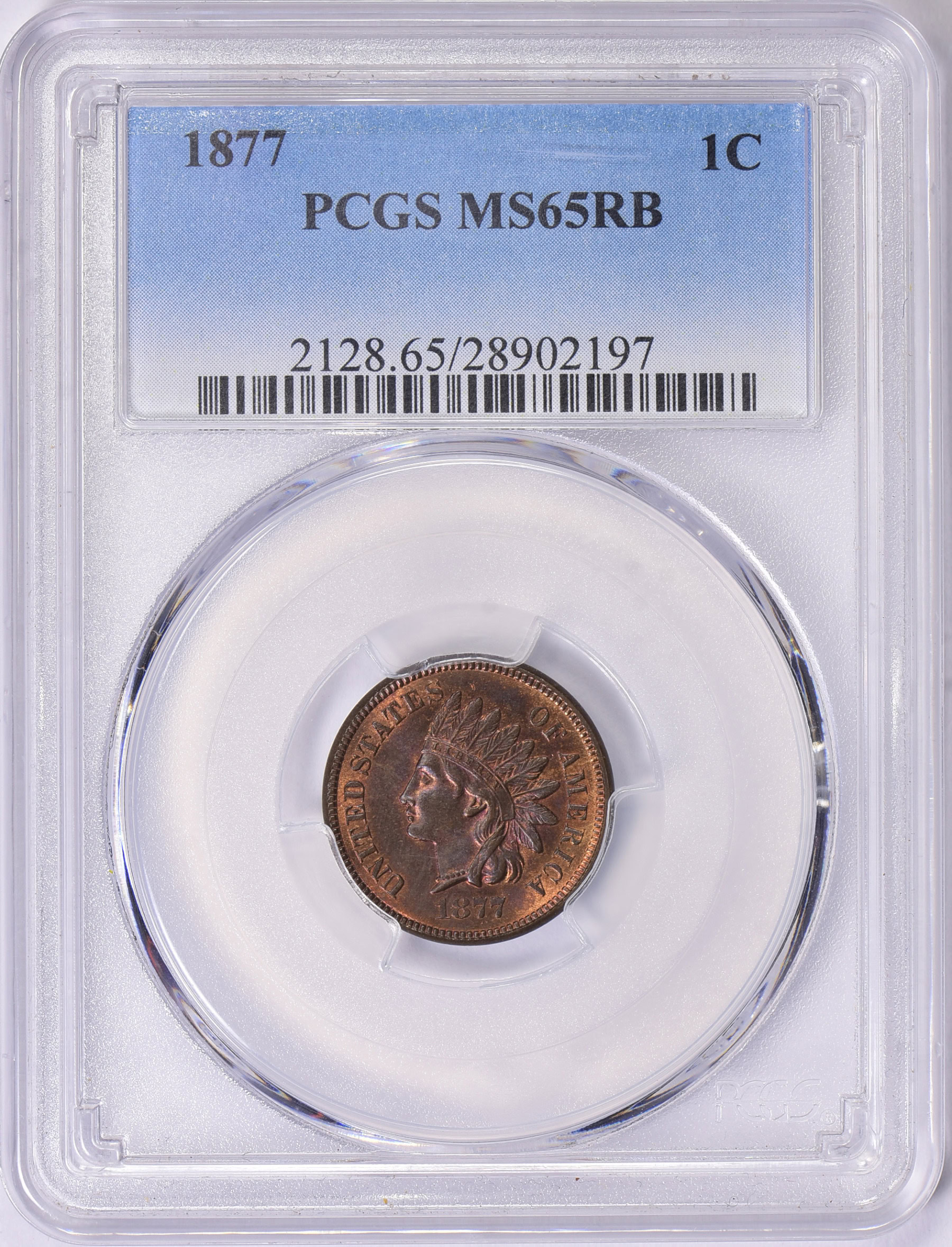 1877 Indian Cent PCGS MS-65 RB (Item 1611548) | GreatCollections Coin Auctions
