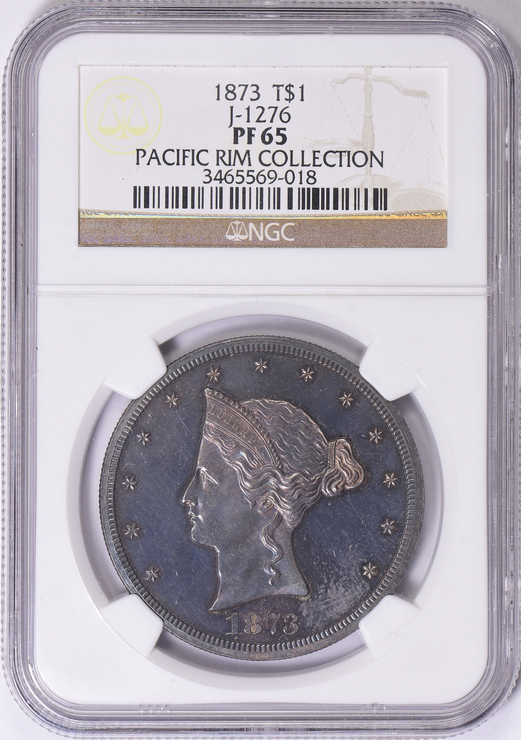 Pattern 1873 T$1 J-1276 NGC Proof-65 (Toned) (Pacific Rim Collection ...
