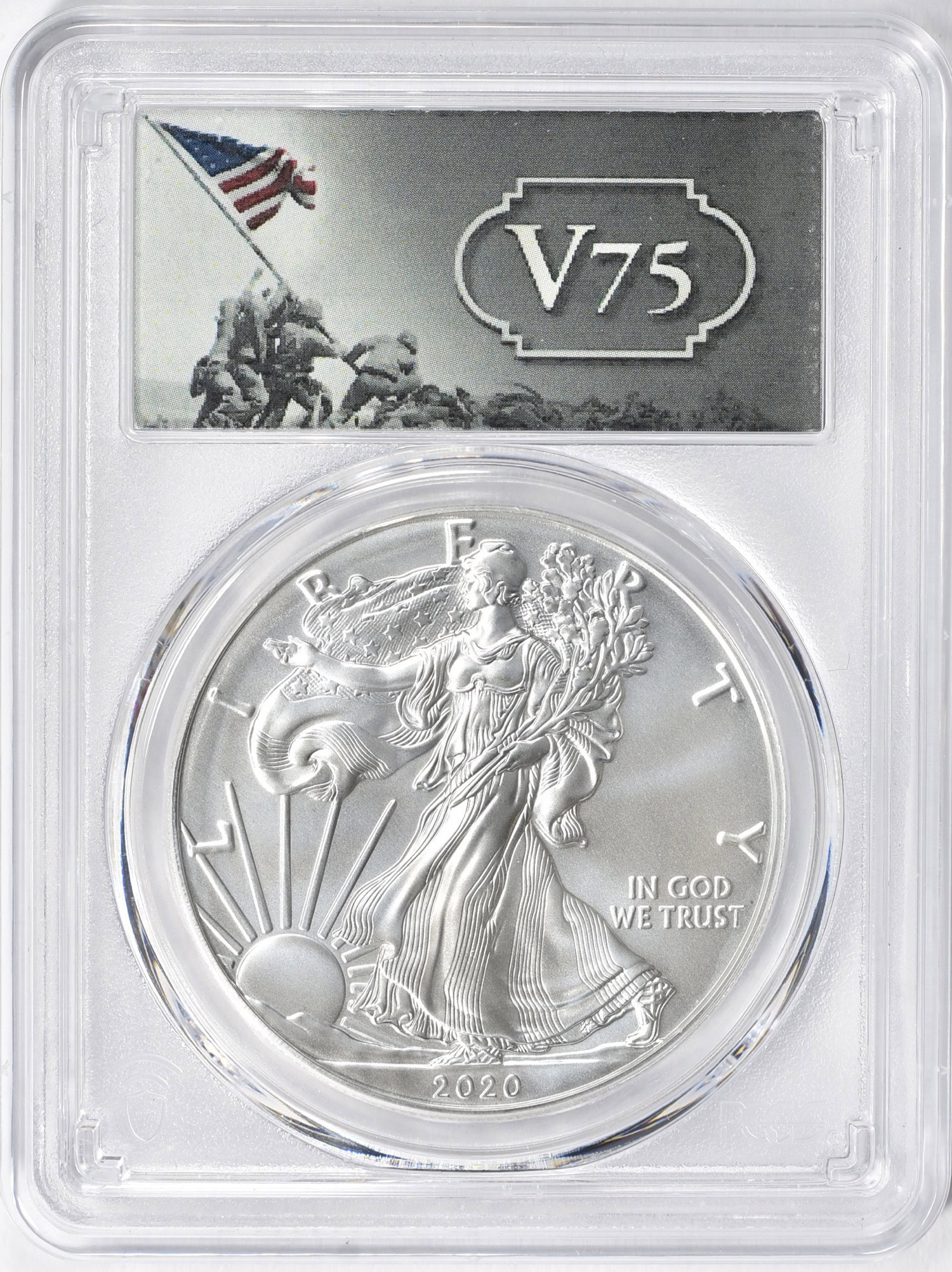 2020-W $1 Silver Eagle Burnished PCGS SP-69 (V75 Label) (Item 1650302) | GreatCollections Coin ...