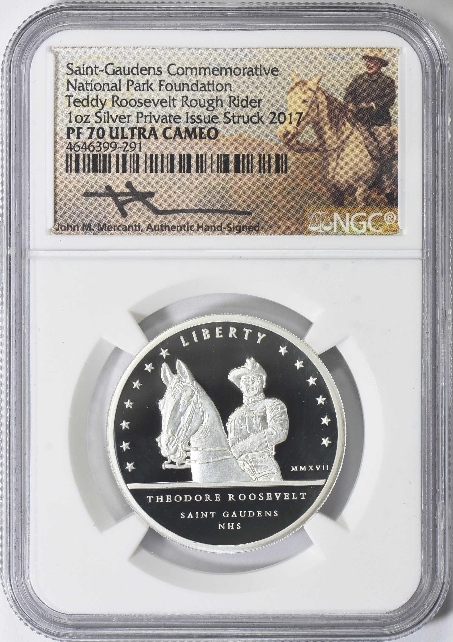 Saint-Gaudens Commemorative National Park Foundation Teddy Roosevelt ...