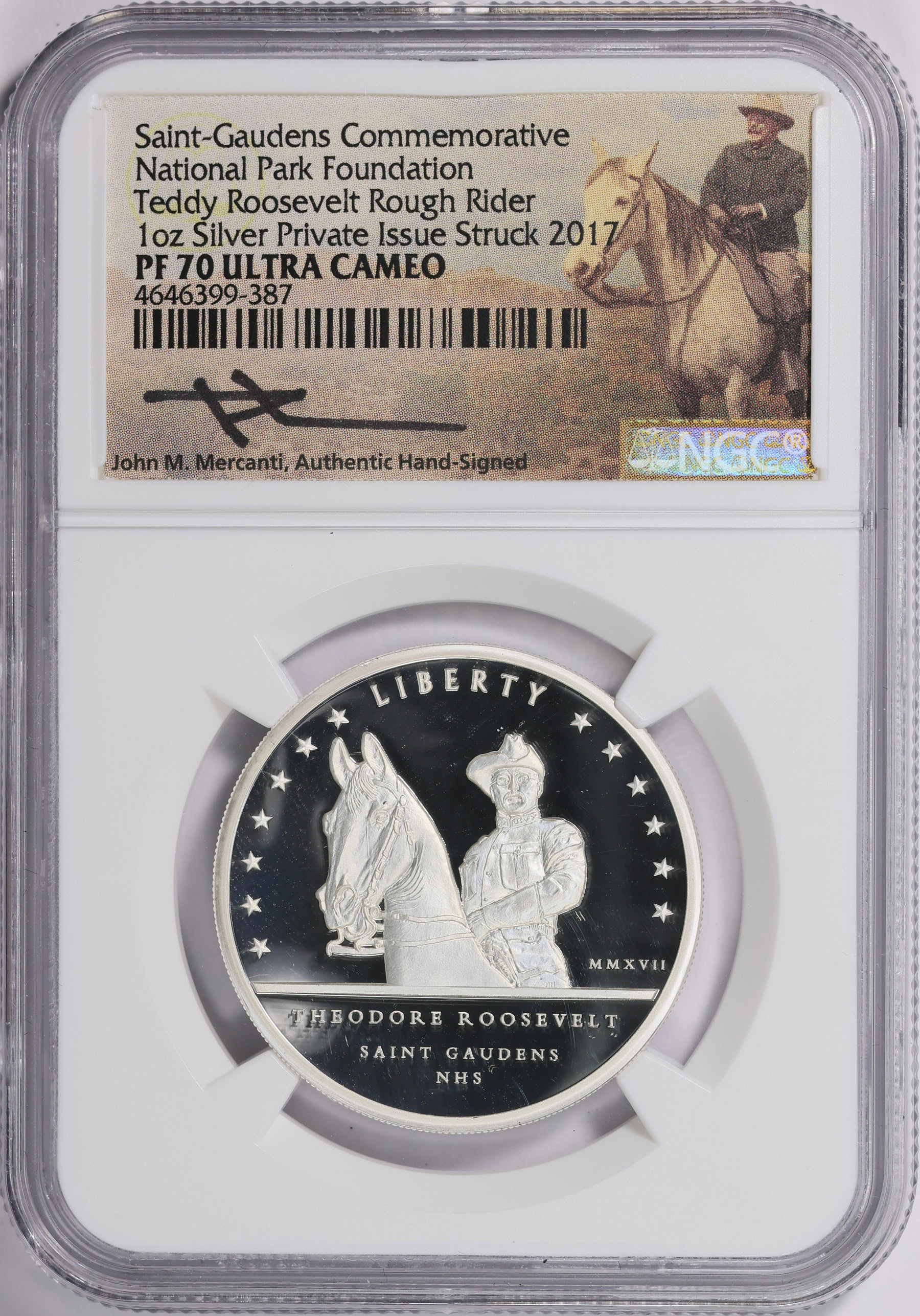 Saint-Gaudens Commemorative National Park Foundation Teddy Roosevelt ...