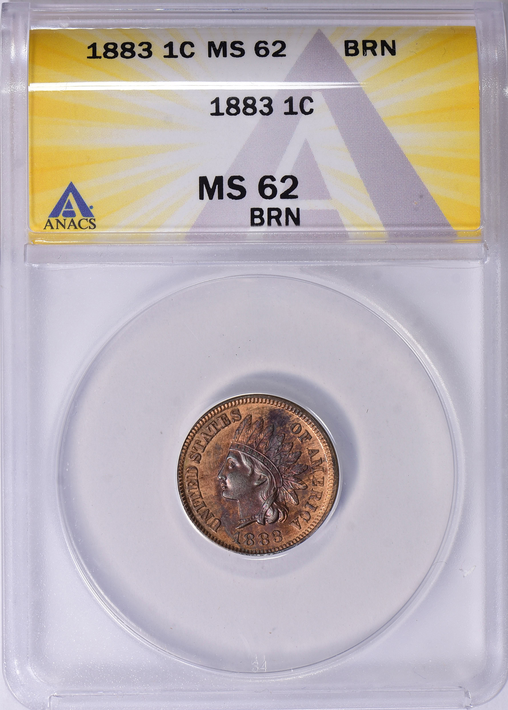 1883 Indian Cent ANACS MS-62 BN (Item 1658926) | GreatCollections Coin Auctions