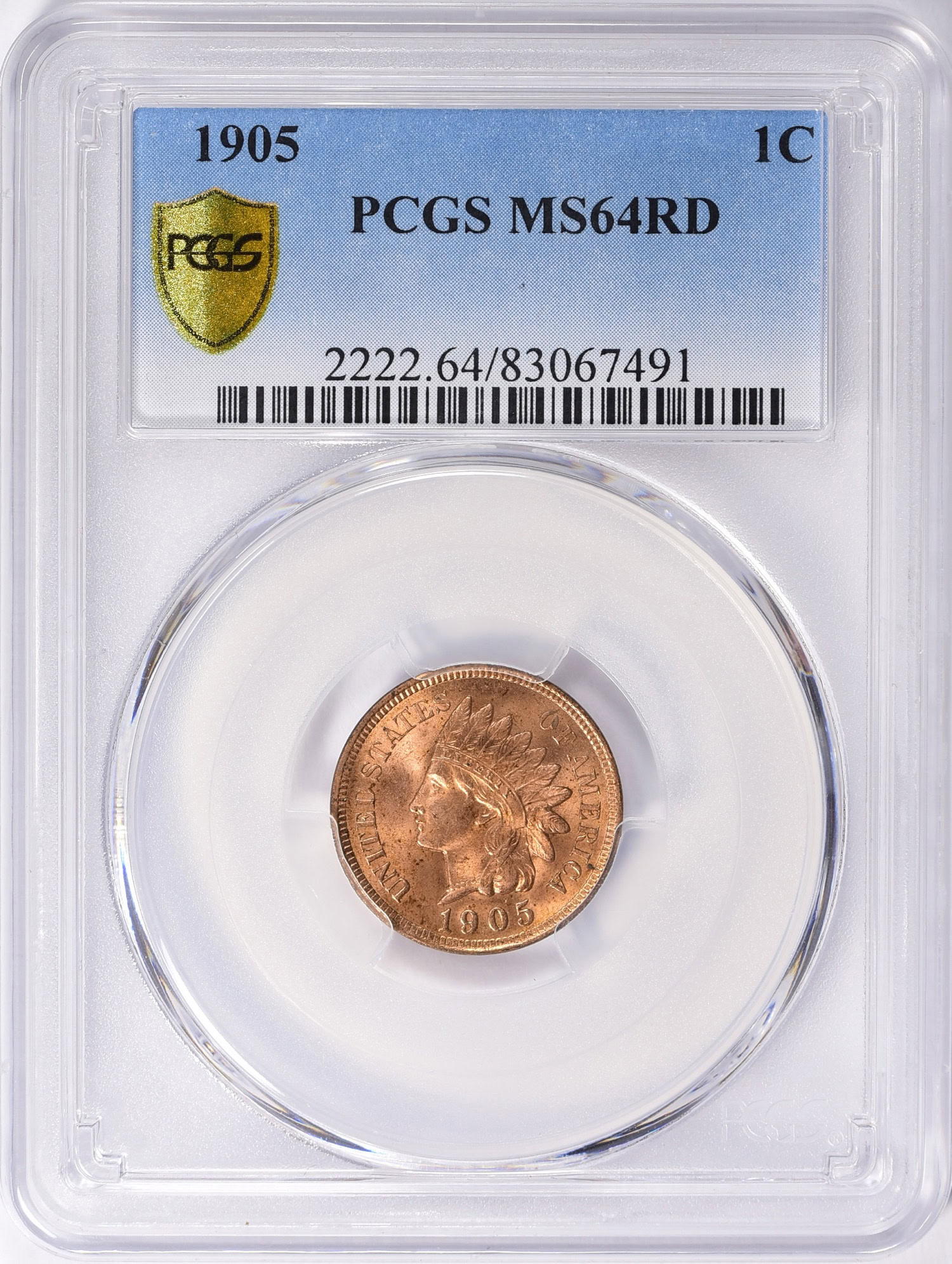 1905 Indian Cent PCGS MS-64 RD (Item 1666120) | GreatCollections Coin ...