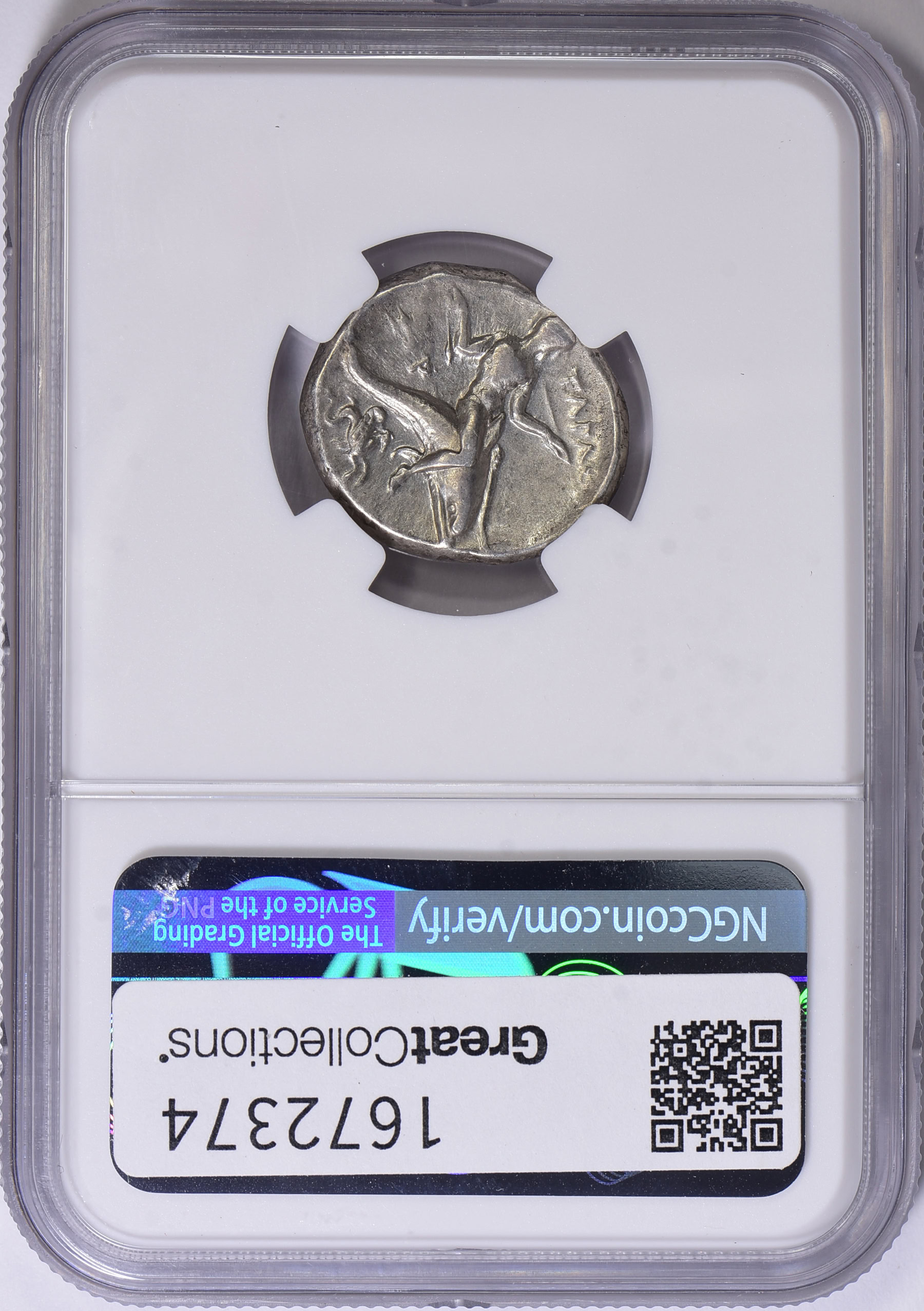 Ancient Calabria, Taras c.302-280 B.C. AR Didrachm NGC Ch VF | NGC Cert ...