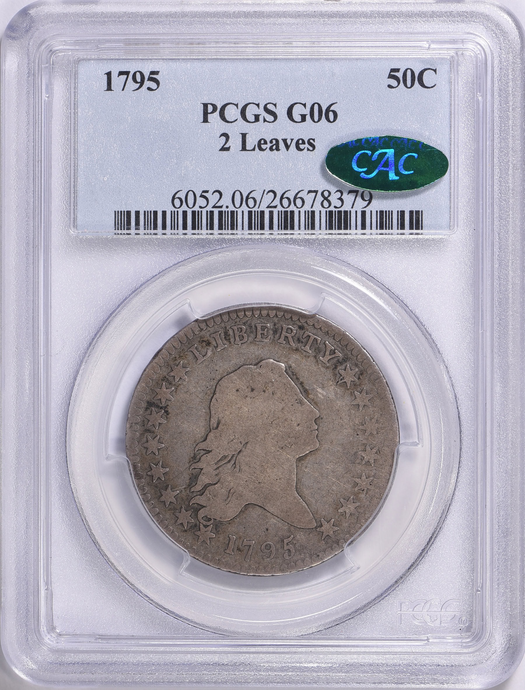 1795 Flowing Hair Half Dollar 2 Leaves PCGS G-06 (CAC Green) (Item 1688996) | GreatCollections ...