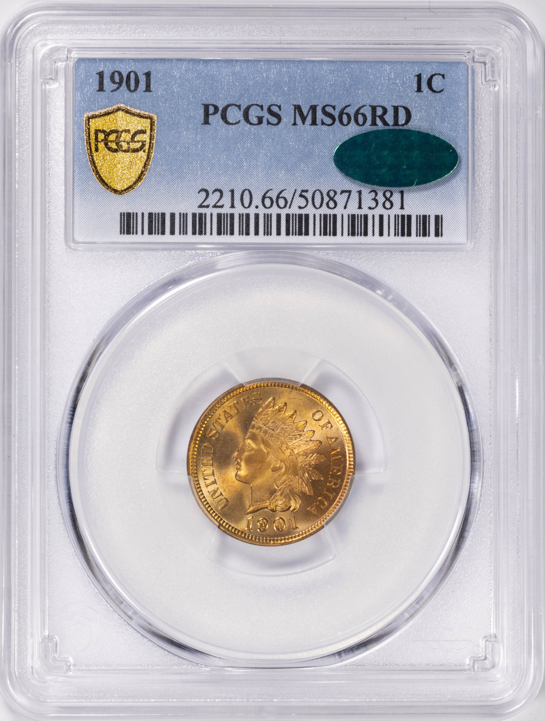 1901 Indian Cent PCGS MS-66 RD (CAC Green) (Item 1690792) | GreatCollections Coin Auctions
