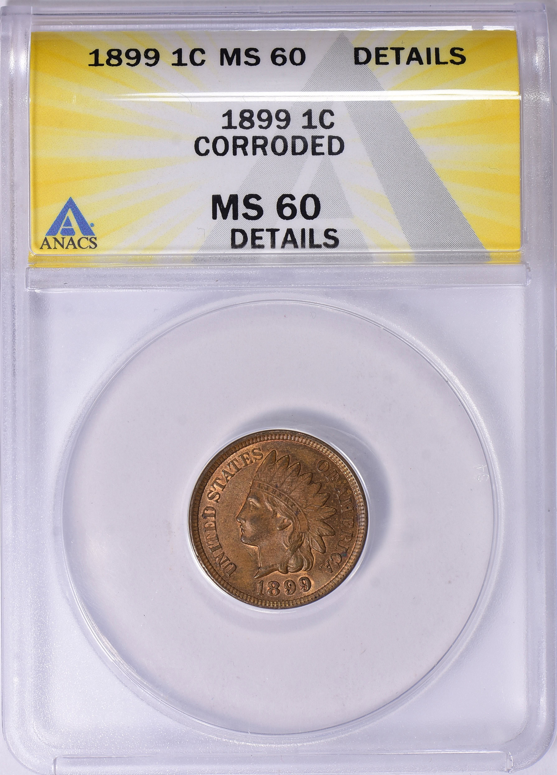 1899 Indian Cent ANACS MS-60 Details (Item 1723036) | GreatCollections ...