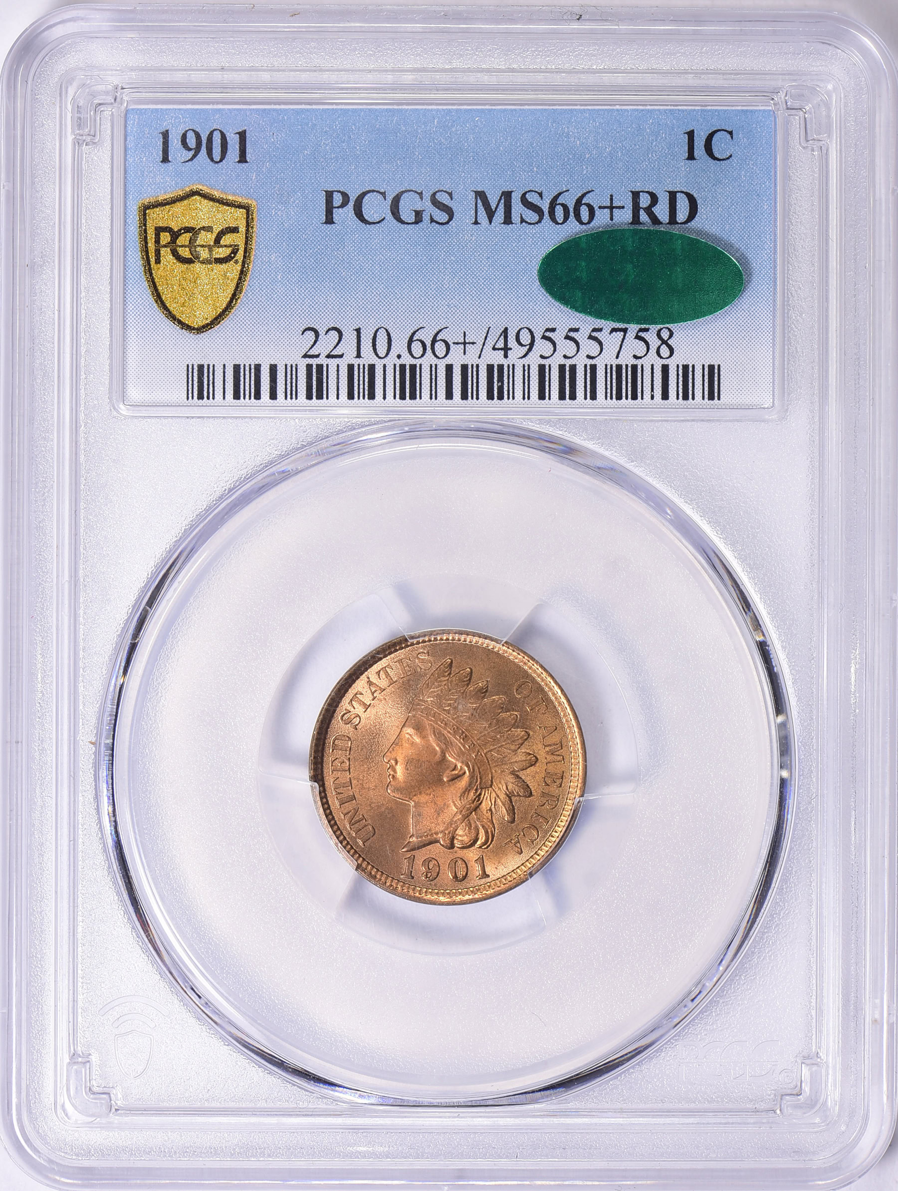 1901 Indian Cent PCGS MS-66+ RD (CAC Green) (Item 1724053) | GreatCollections Coin Auctions