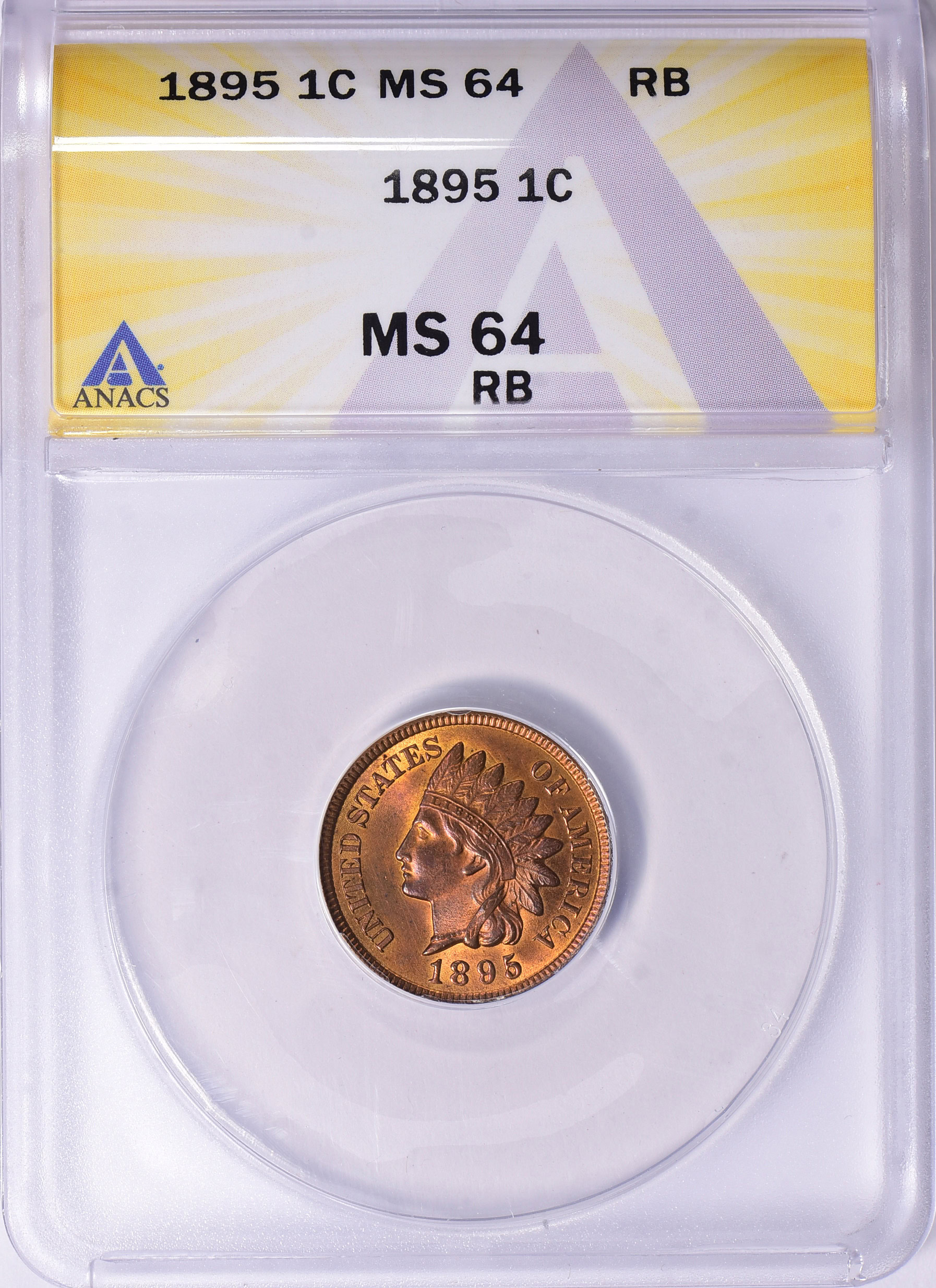 1895 Indian Cent ANACS MS-64 RB (Item 1728918) | GreatCollections Coin Auctions