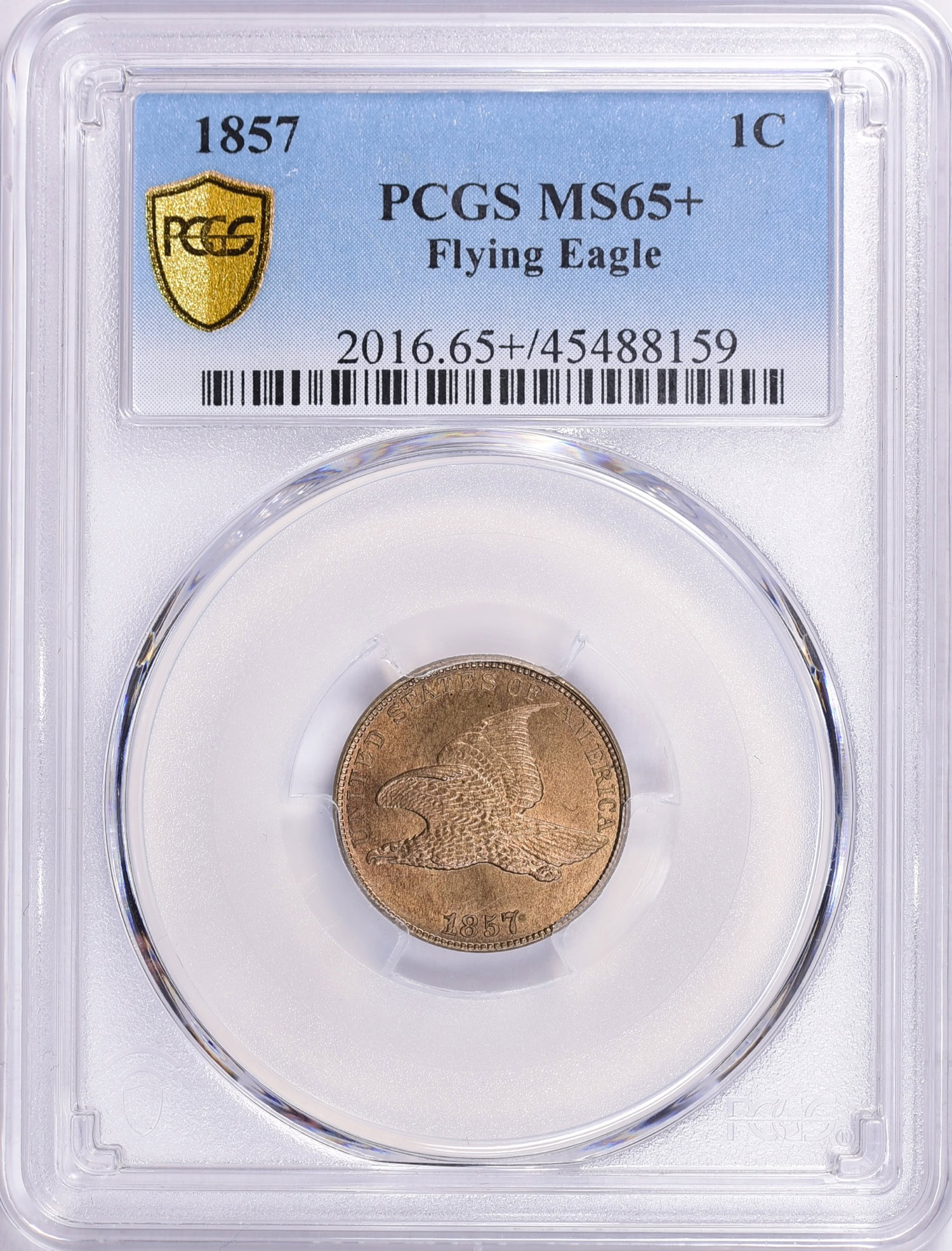 1857 Flying Eagle Cent PCGS MS-65+ (Item 1730142) | GreatCollections Coin Auctions