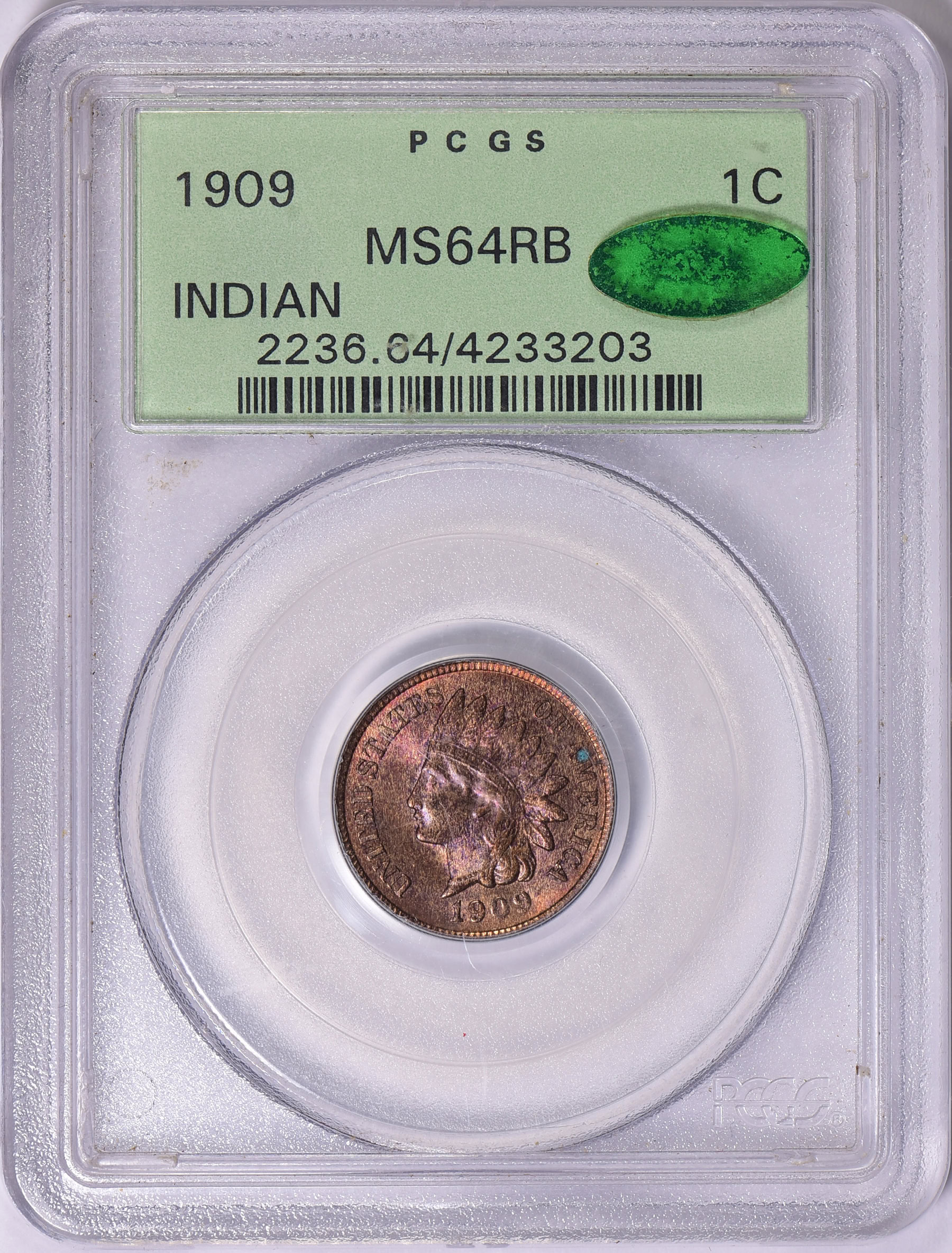 1909 Indian Cent PCGS MS-64 RB (CAC Green) OGH (Item 1730925) | GreatCollections Coin Auctions