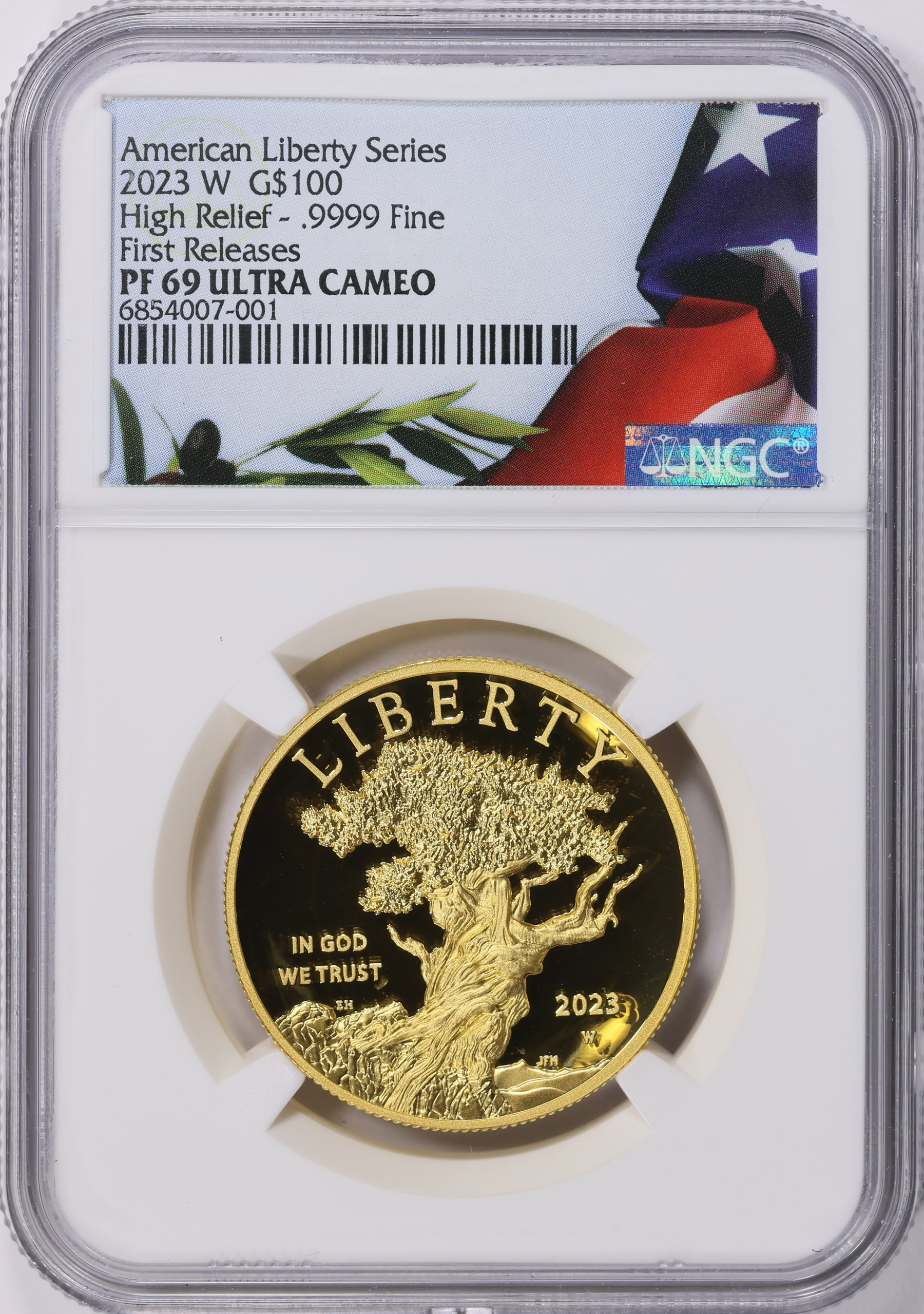 2023-W Gold $100 American Liberty High Relief First Releases NGC Proof ...
