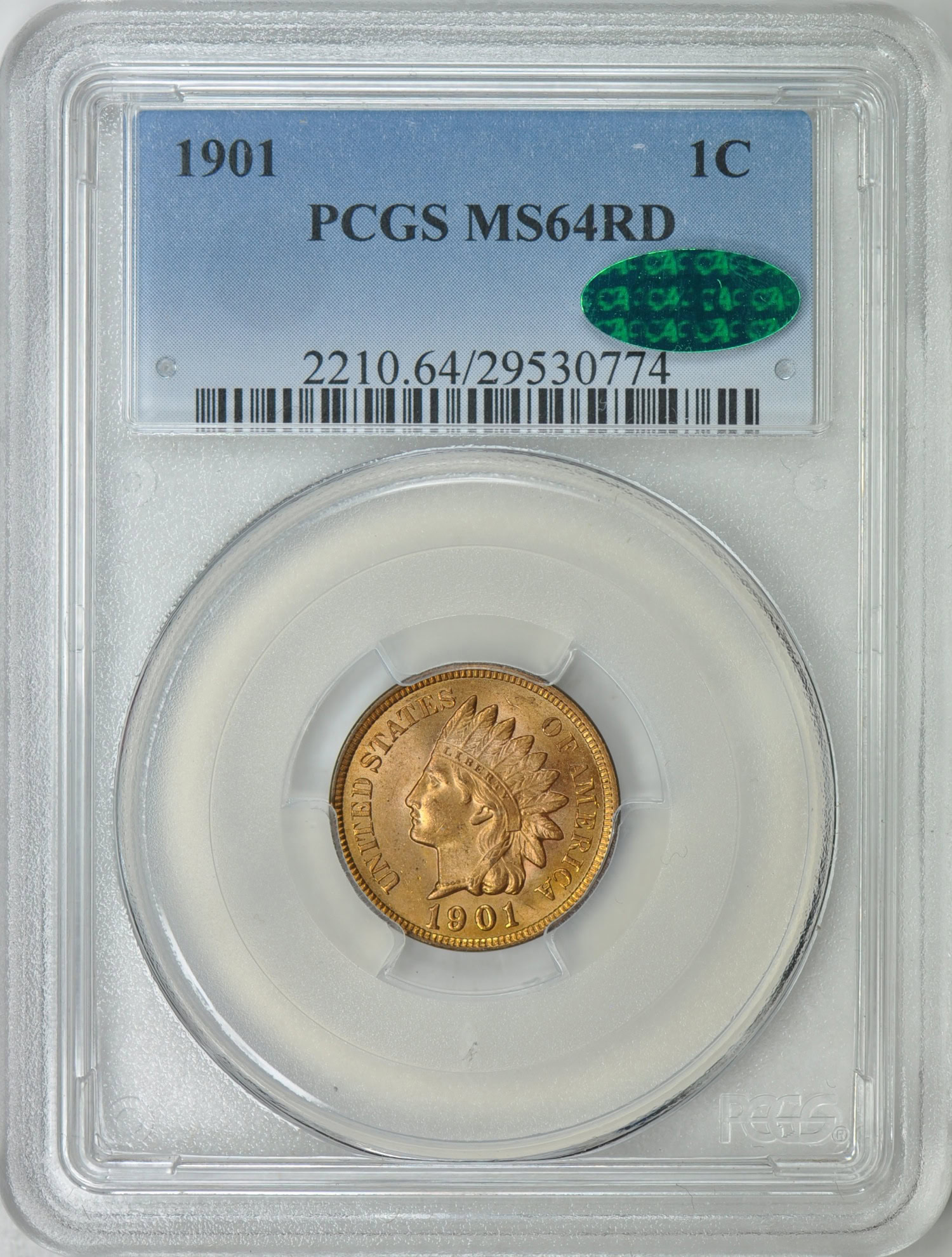 1901 Indian Cent PCGS MS-64 RD (CAC Green) (Item 1743953) | GreatCollections Coin Auctions