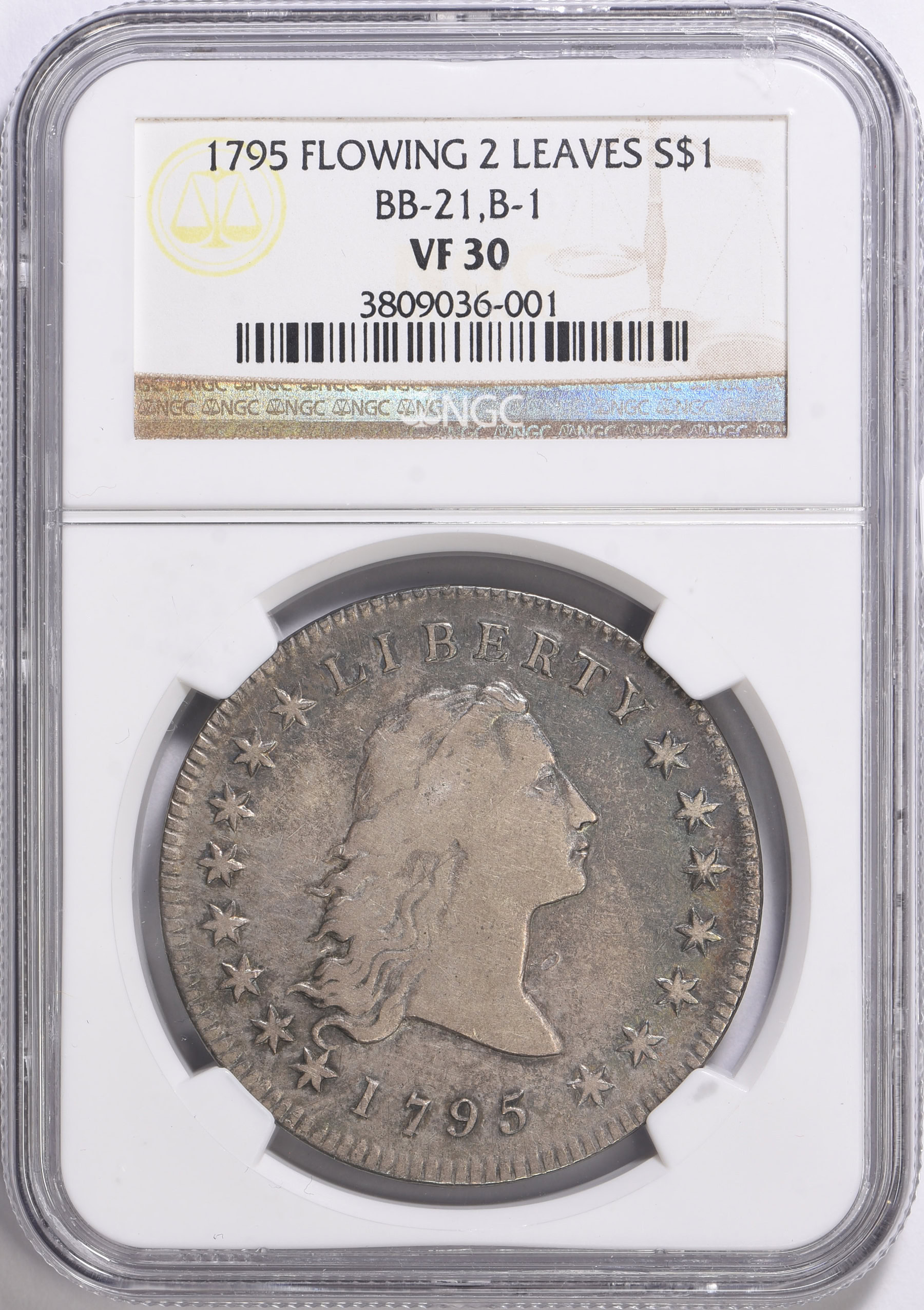 1795 Flowing Hair Silver Dollar B-1 BB-21 NGC VF-30 (Toned) (Item 1751266) | GreatCollections ...
