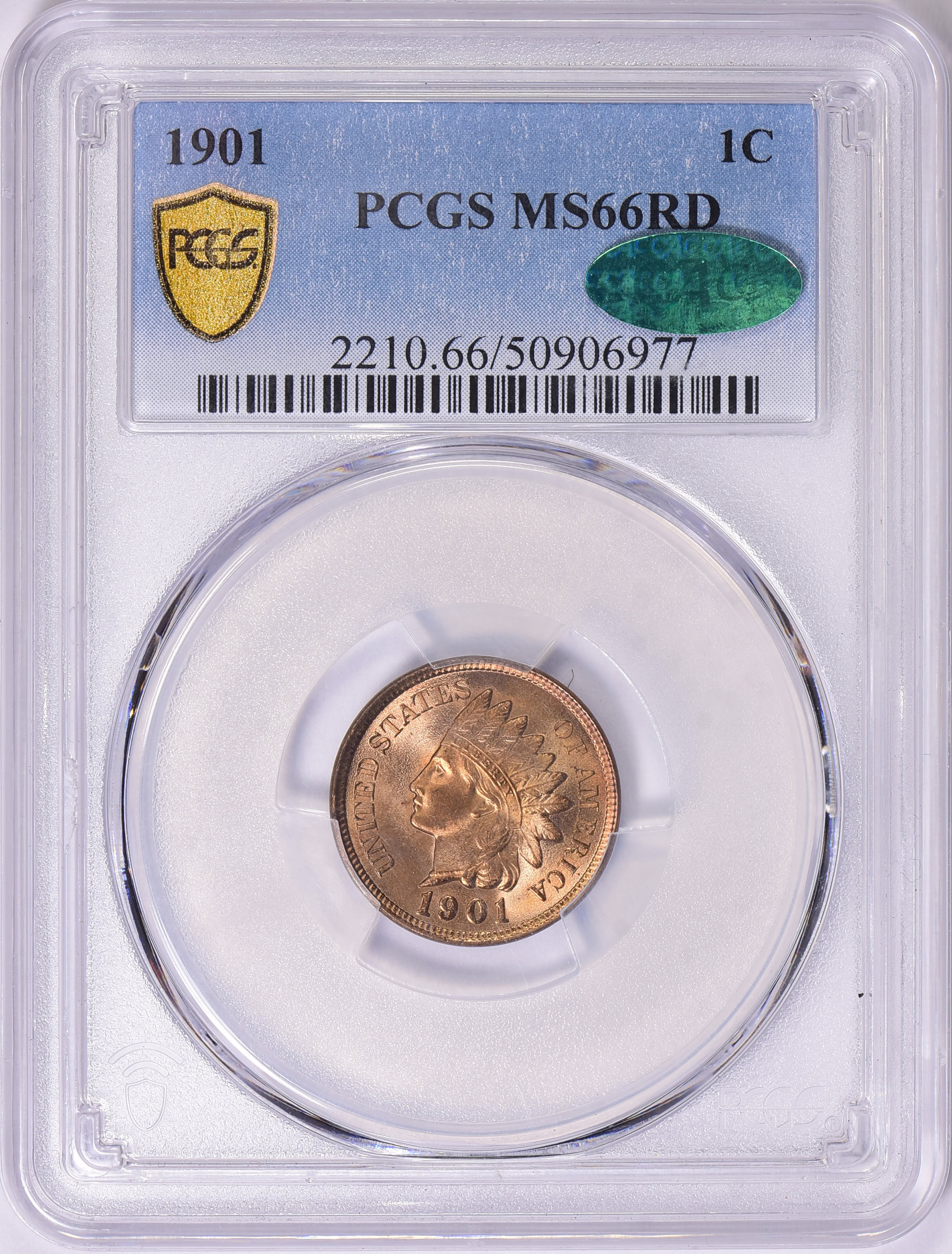 1901 Indian Cent PCGS MS-66 RD (CAC Green) (Item 1756931) | GreatCollections Coin Auctions
