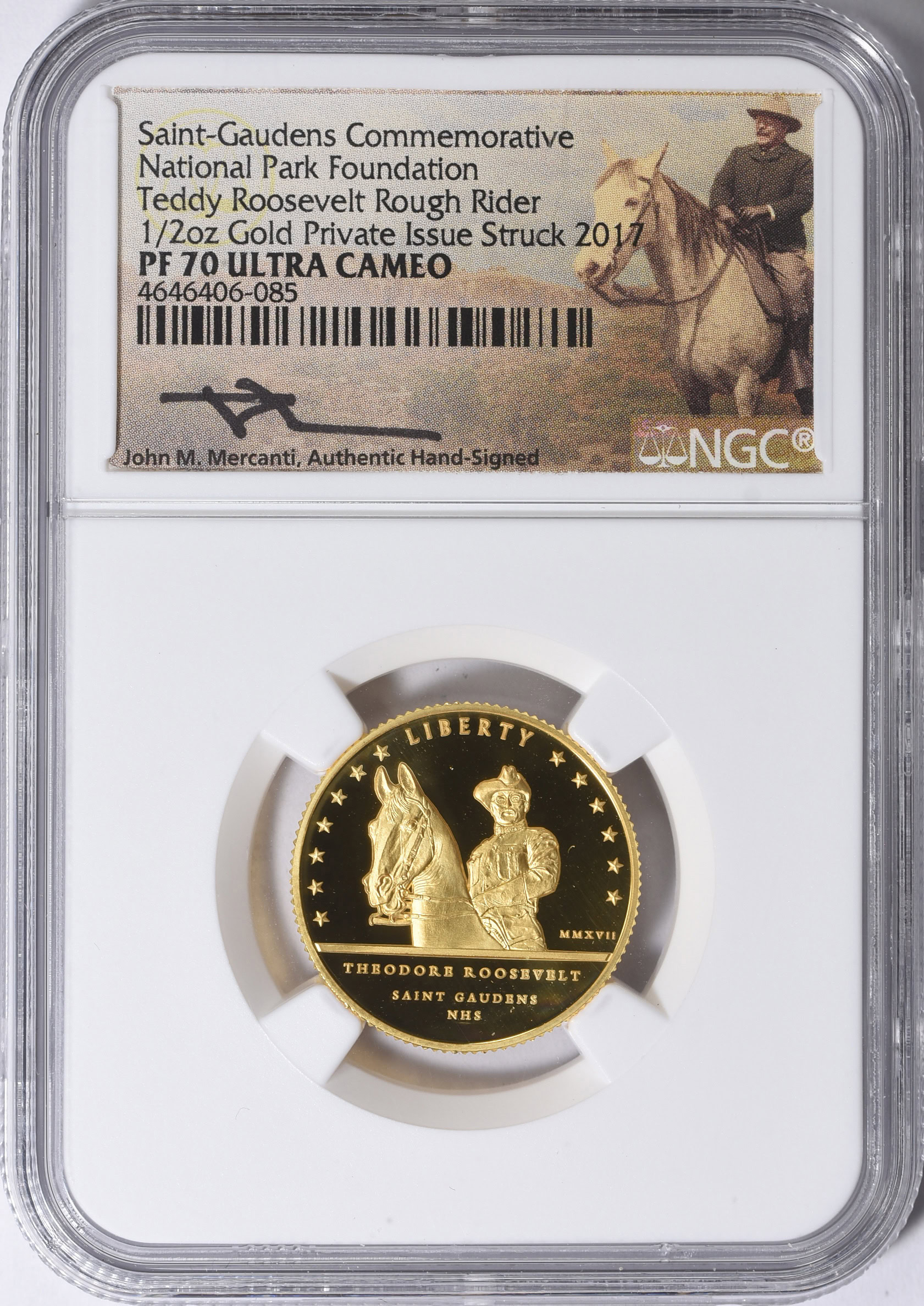 2017 National Park Foundation Saint-Gaudens Commemorative Teddy ...