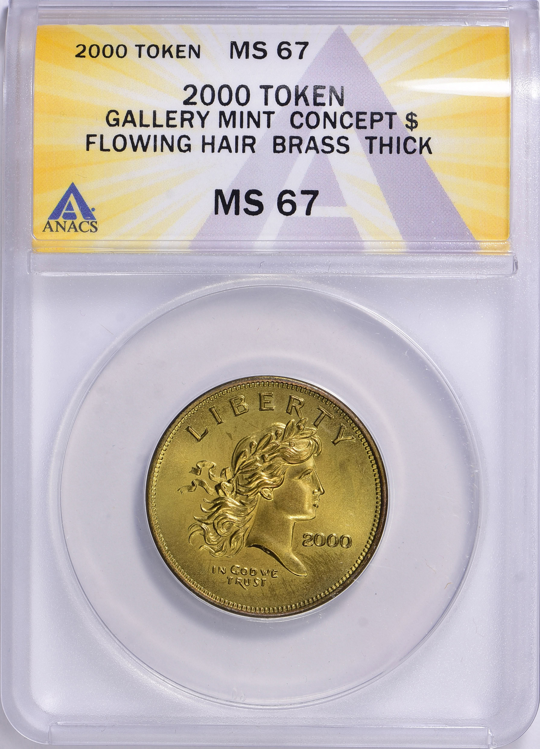 2000 Flowing Hair Concept Dollar Thick Brass Gallery Mint Token ANACS ...