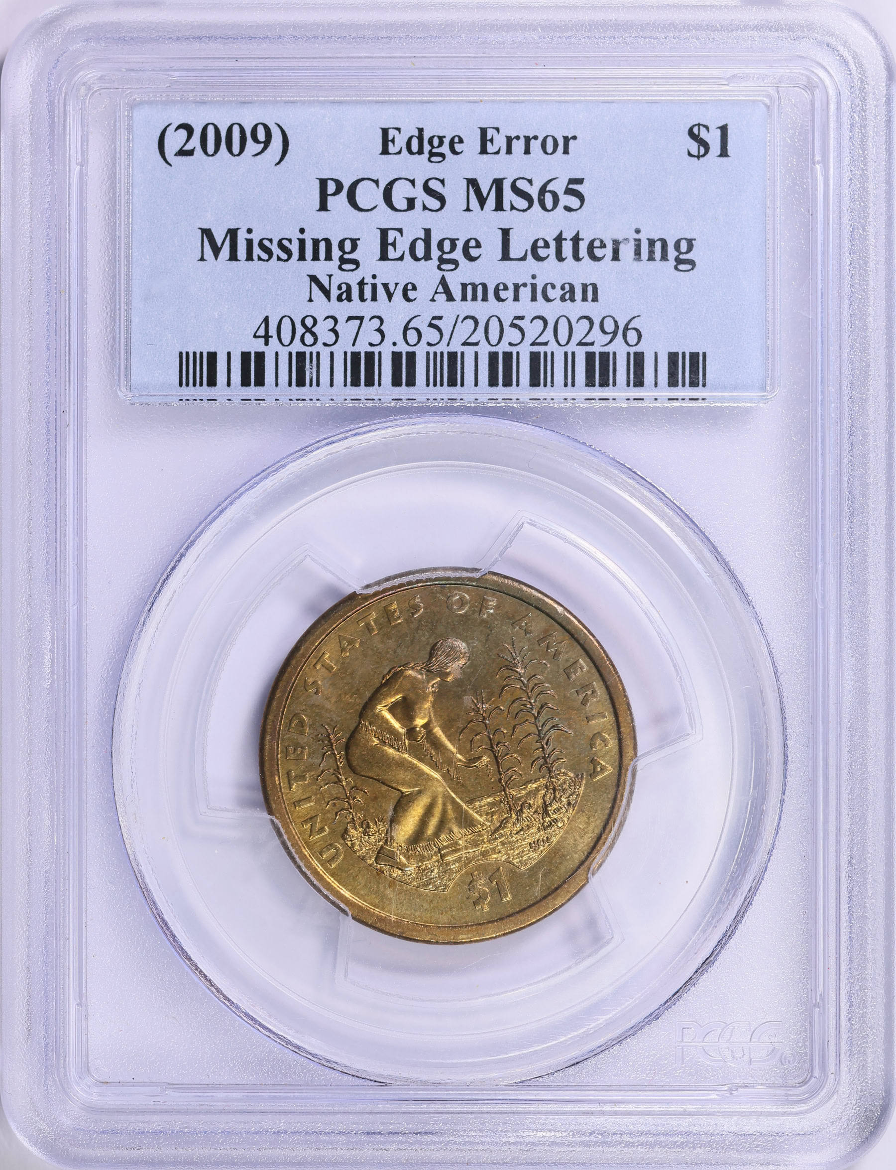 Mint Error (2009) Sacagawea Dollar Native American Missing Edge ...
