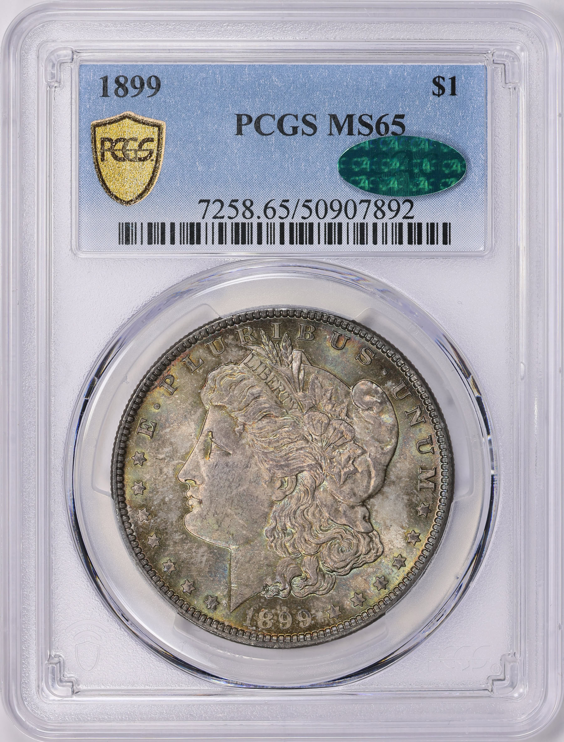 1899 Morgan Silver Dollar PCGS MS-65 (CAC Green) (Toned) (Item 1779629) | GreatCollections Coin ...
