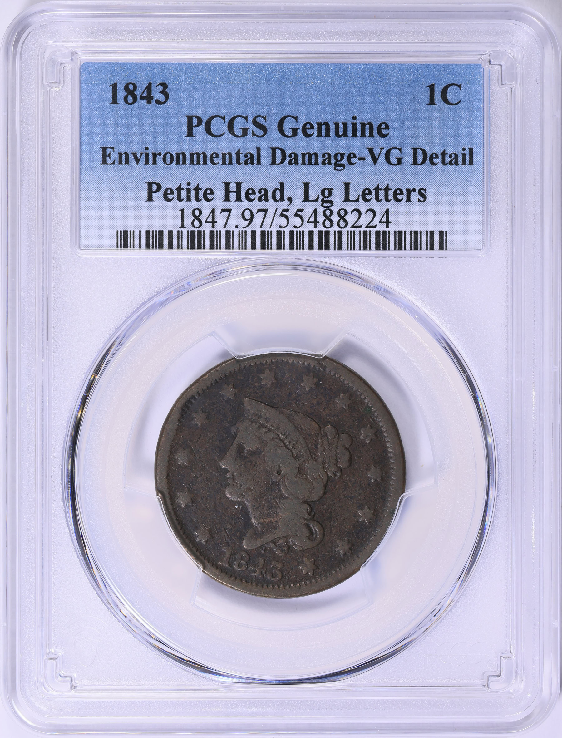 1843 Braided Hair Cent Petite Head, Large Letters PCGS Genuine VG Details (Item 1781315 ...