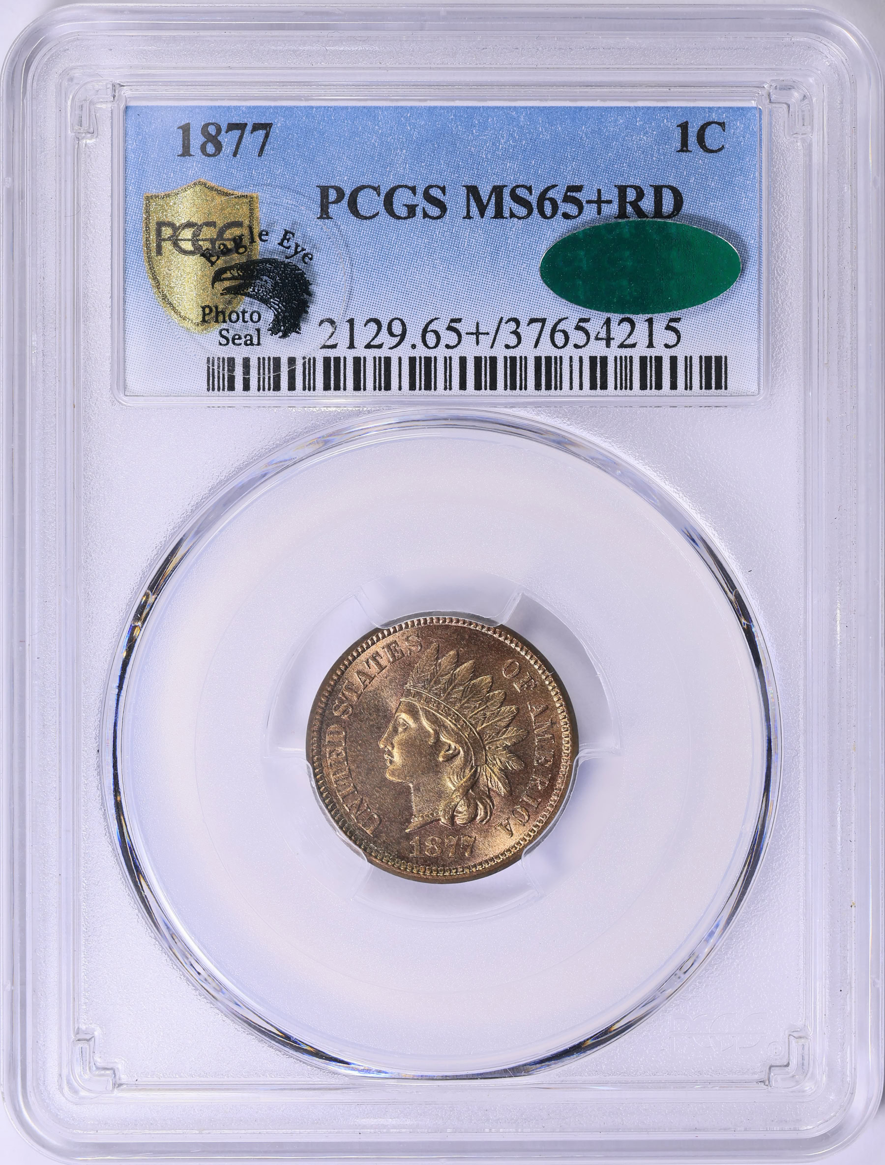 1877 Indian Cent PCGS MS-65+ RD (CAC Green) (Eagle Eye Seal) (Item 1789755) | GreatCollections ...