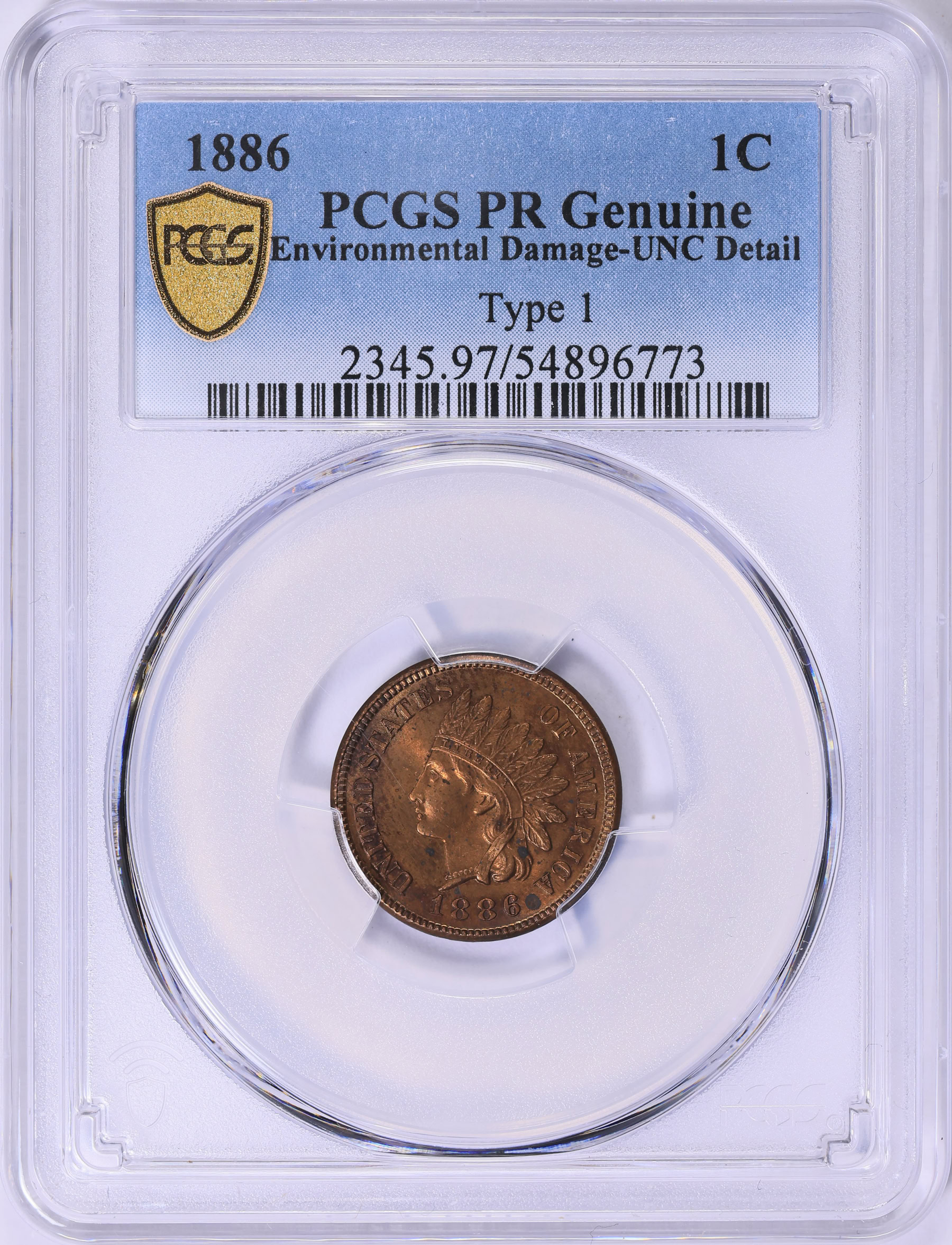1886 Indian Cent Variety 1 Proof PCGS Genuine Unc Details (Item 1791197) | GreatCollections Coin ...