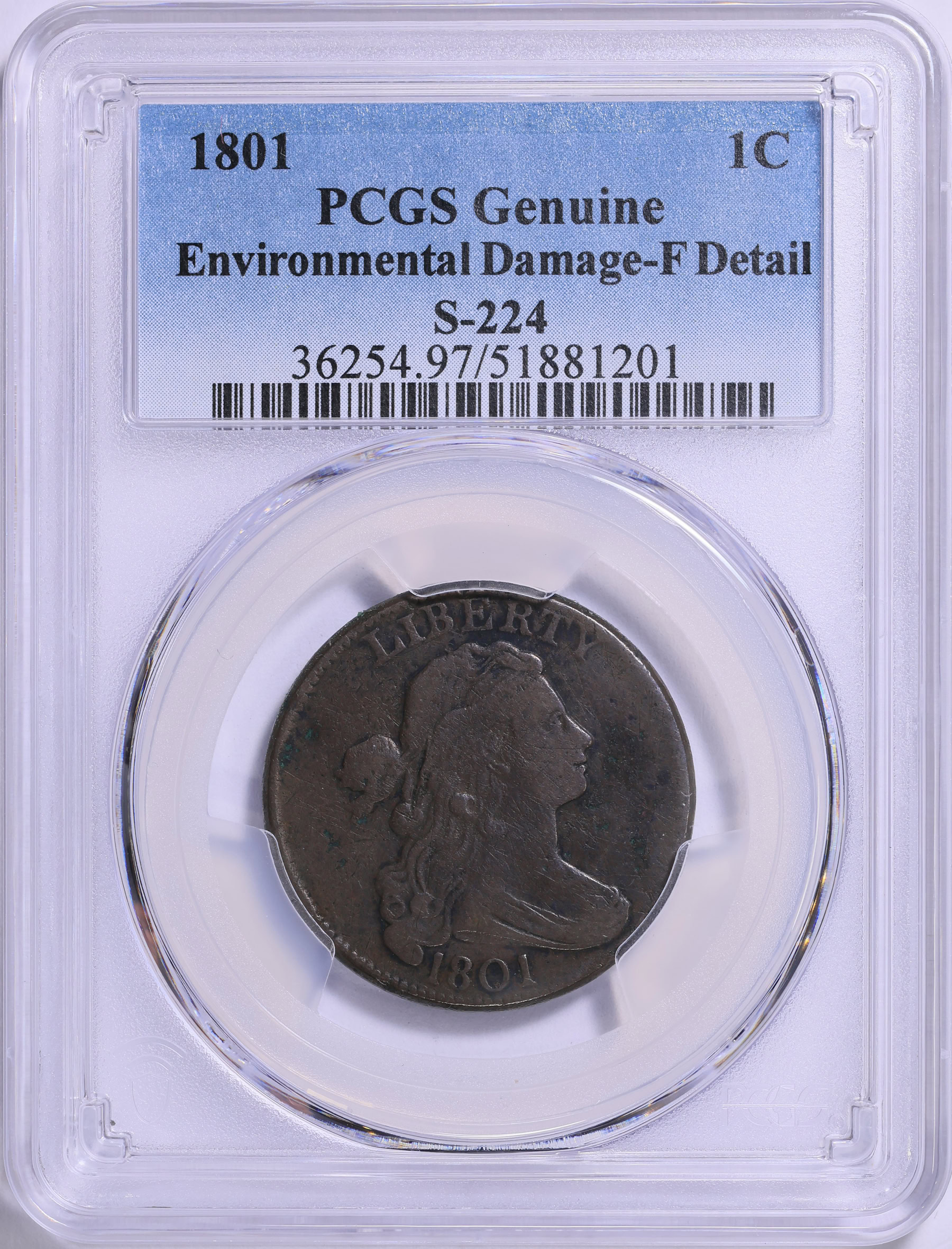 1801 Draped Bust Cent Sheldon 224 PCGS Genuine Fine Details (Item ...