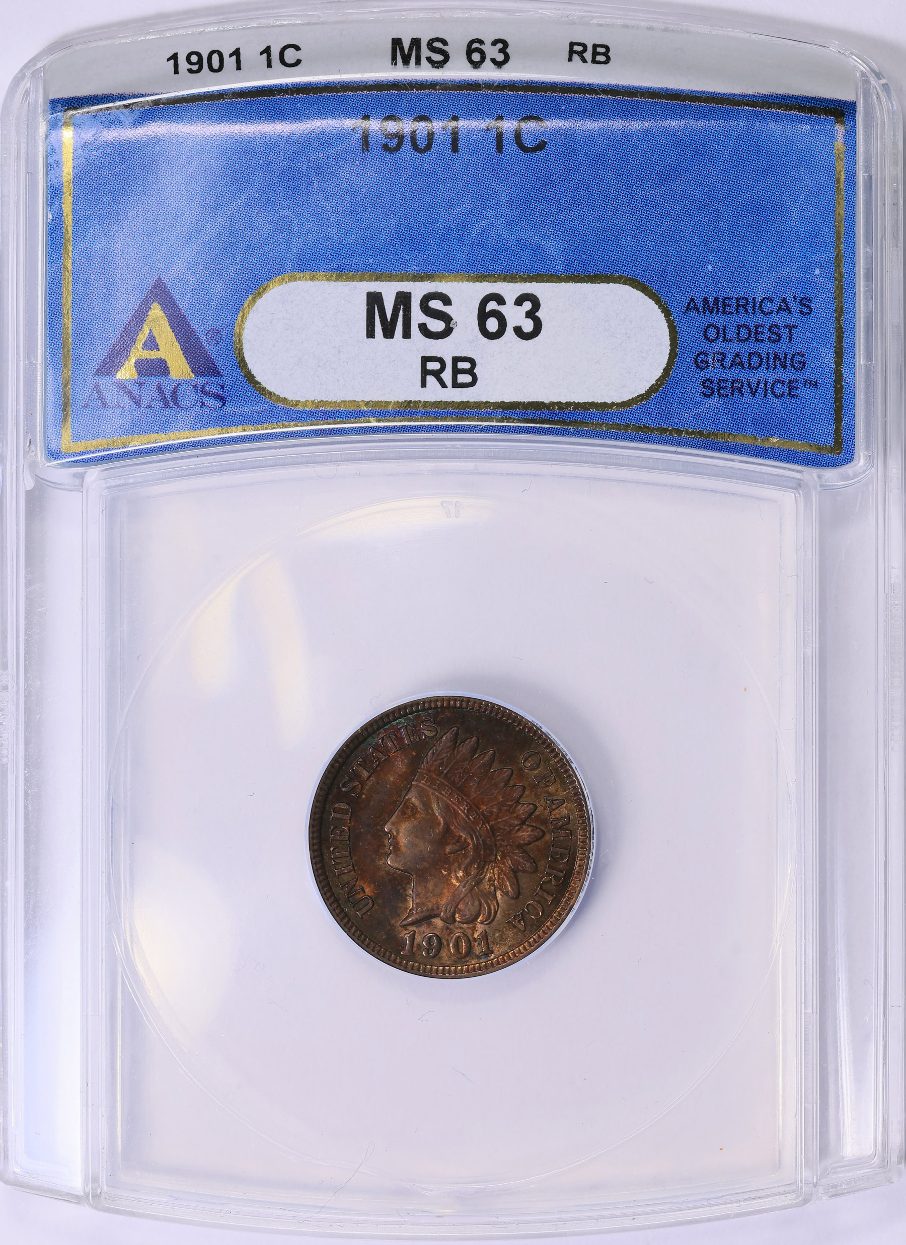 1901 Indian Cent ANACS MS-63 RB (Toned) (Item 1810280) | GreatCollections Coin Auctions