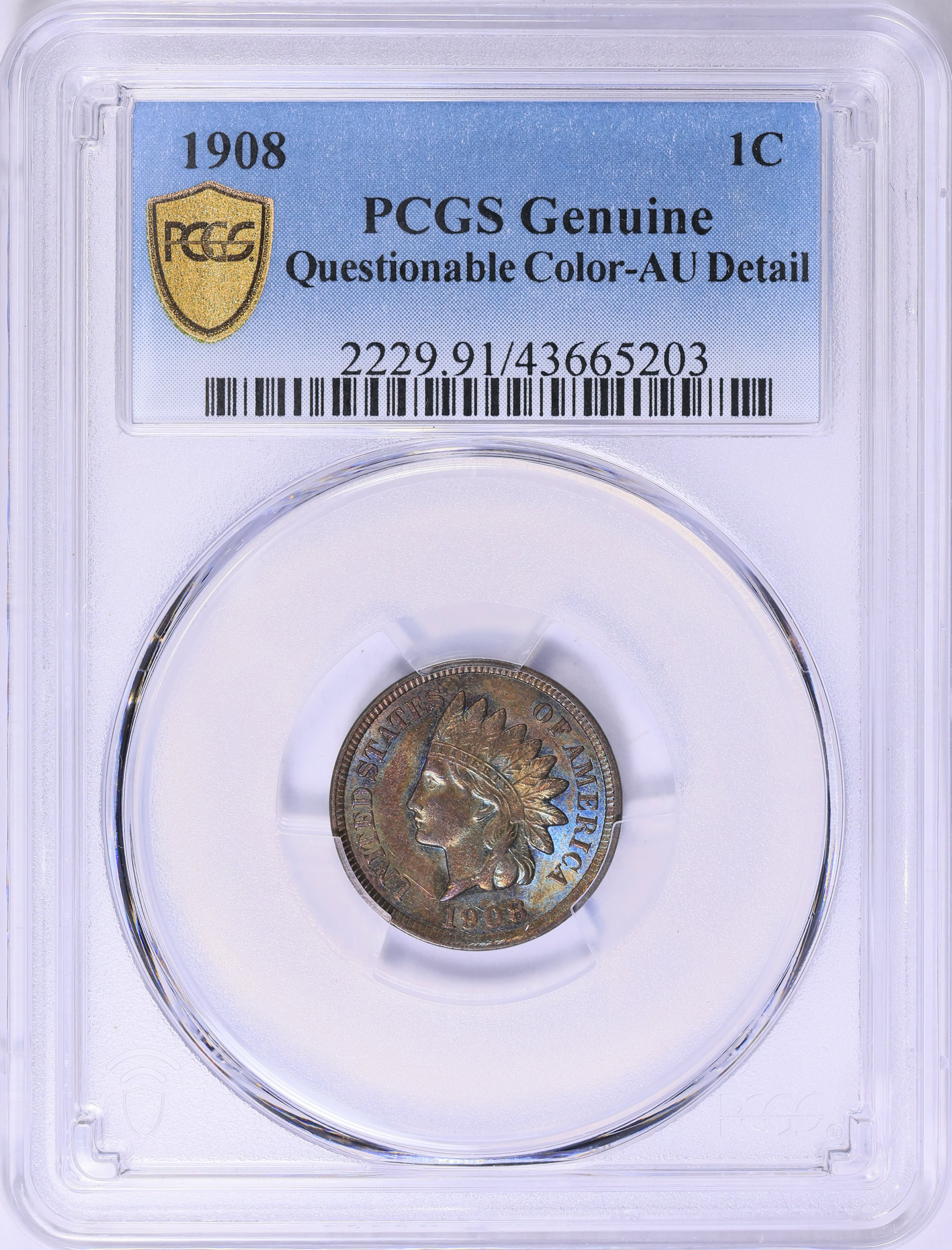 1908 Indian Cent PCGS Genuine AU Details (Art. Toned) (Item 1811765 ...