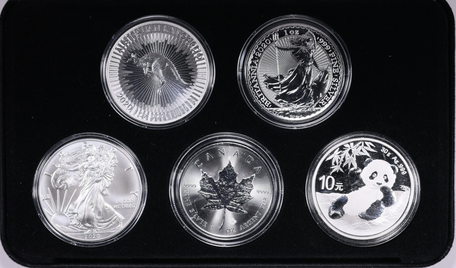 Various Countries 2020 Silver Bullion Series Issues Uncertified in Case ...