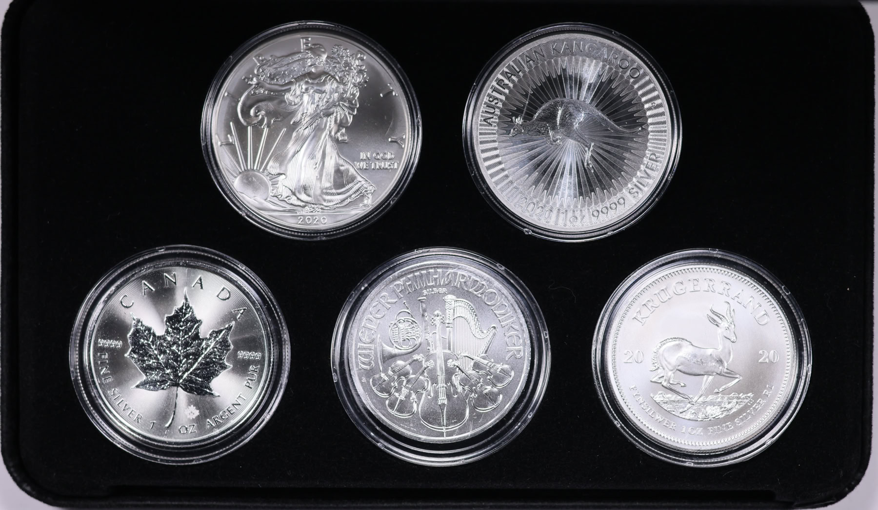 Various Countries 2020 Silver Bullion Series Issues Uncertified in Case ...