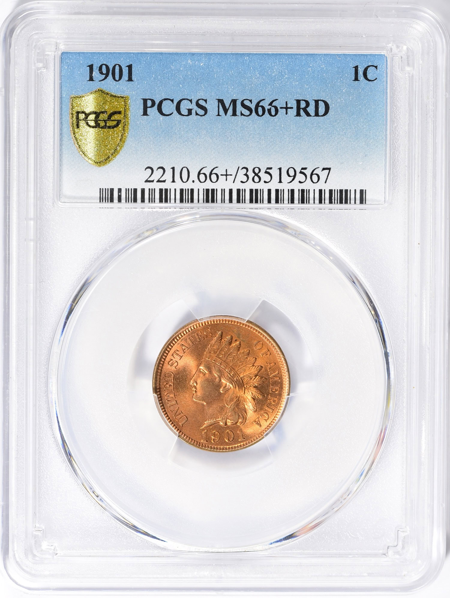 1901 Indian Cent PCGS MS-66+ RD (Item 1826972) | GreatCollections Coin Auctions