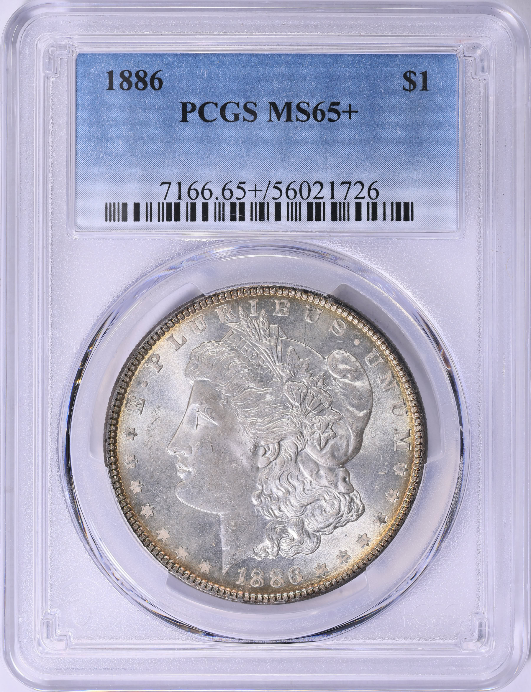 1886 Morgan Silver Dollar PCGS MS-65+ (Item 1827356) | GreatCollections Coin Auctions