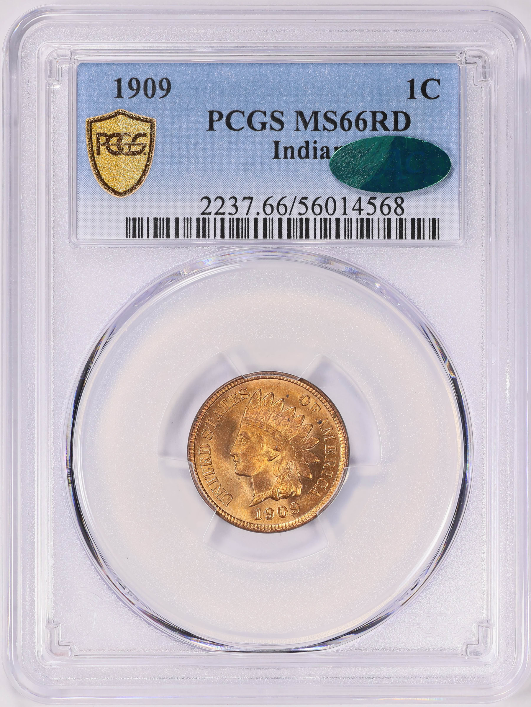 1909 Indian Cent PCGS MS-66 RD (CAC Green) (Item 1827723) | GreatCollections Coin Auctions