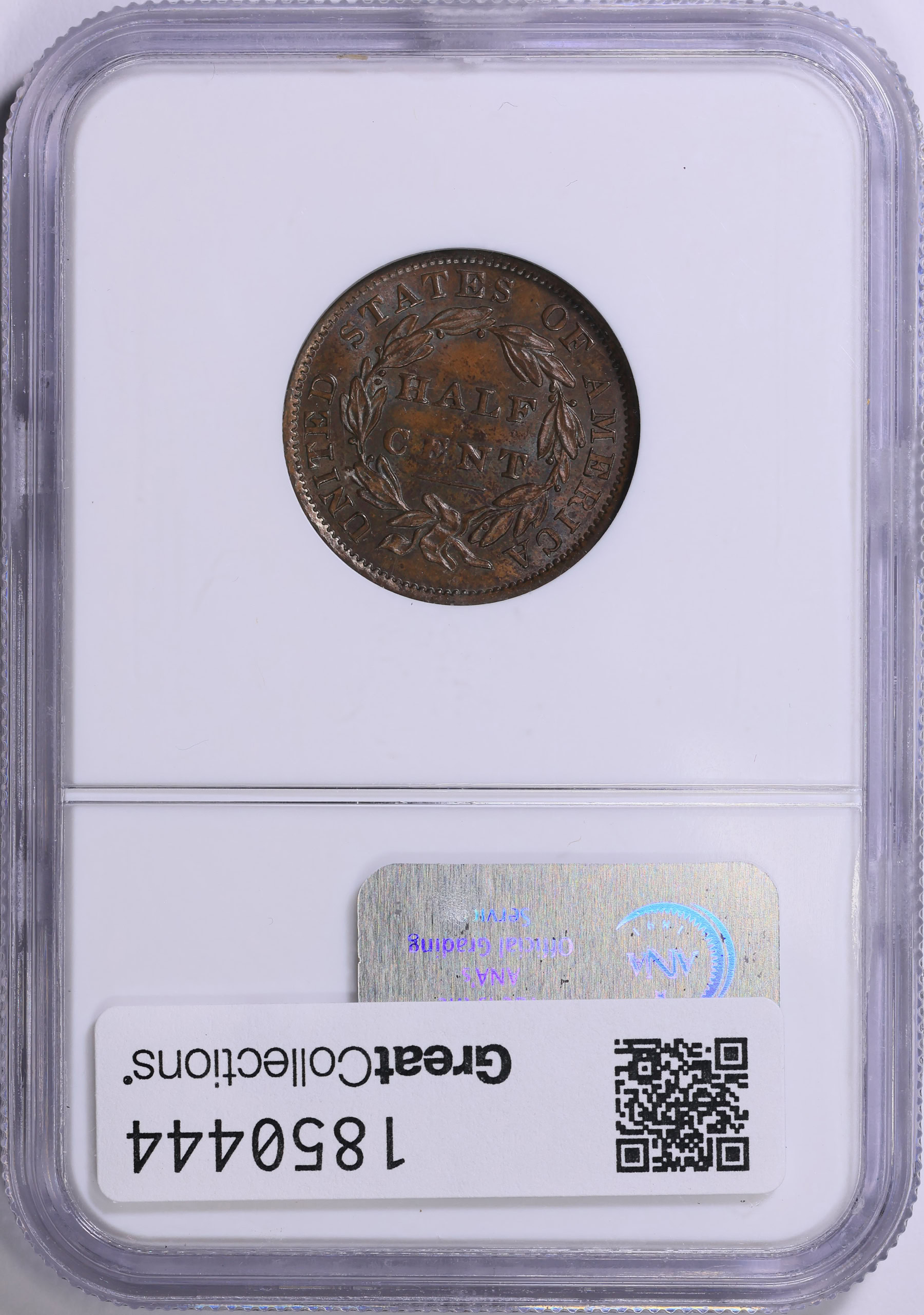 1834 Classic Half Cent NGC MS-64 BN (Item 1850444) | GreatCollections Coin Auctions