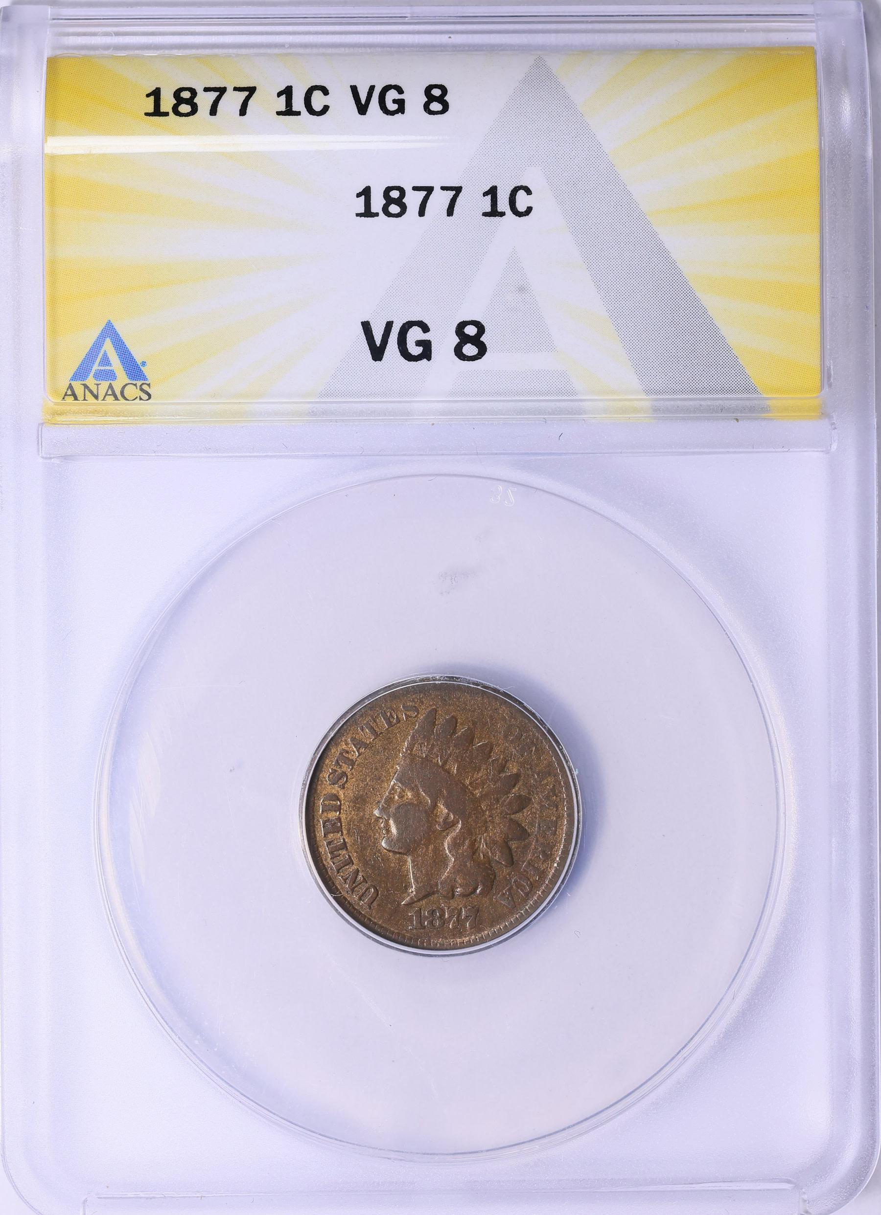 1877 Indian Cent ANACS VG-08 BN (Item 1855277) | GreatCollections Coin ...