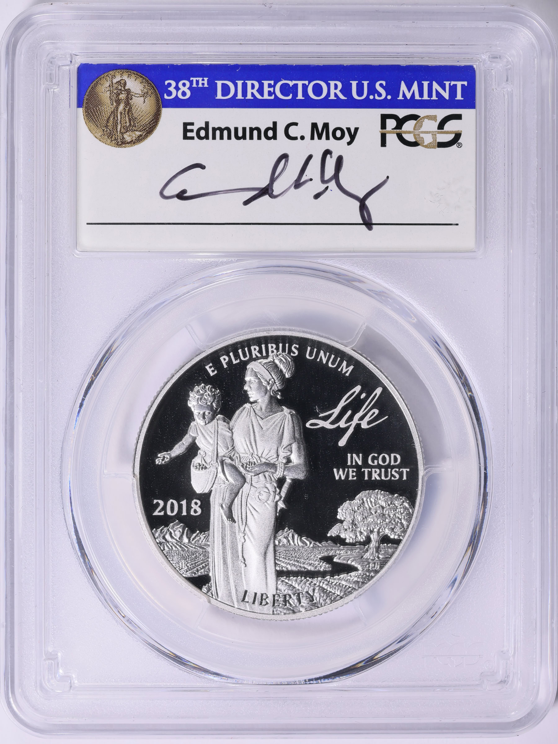 2018-W $100 One-Ounce Platinum American Eagle Life First Strike PCGS ...