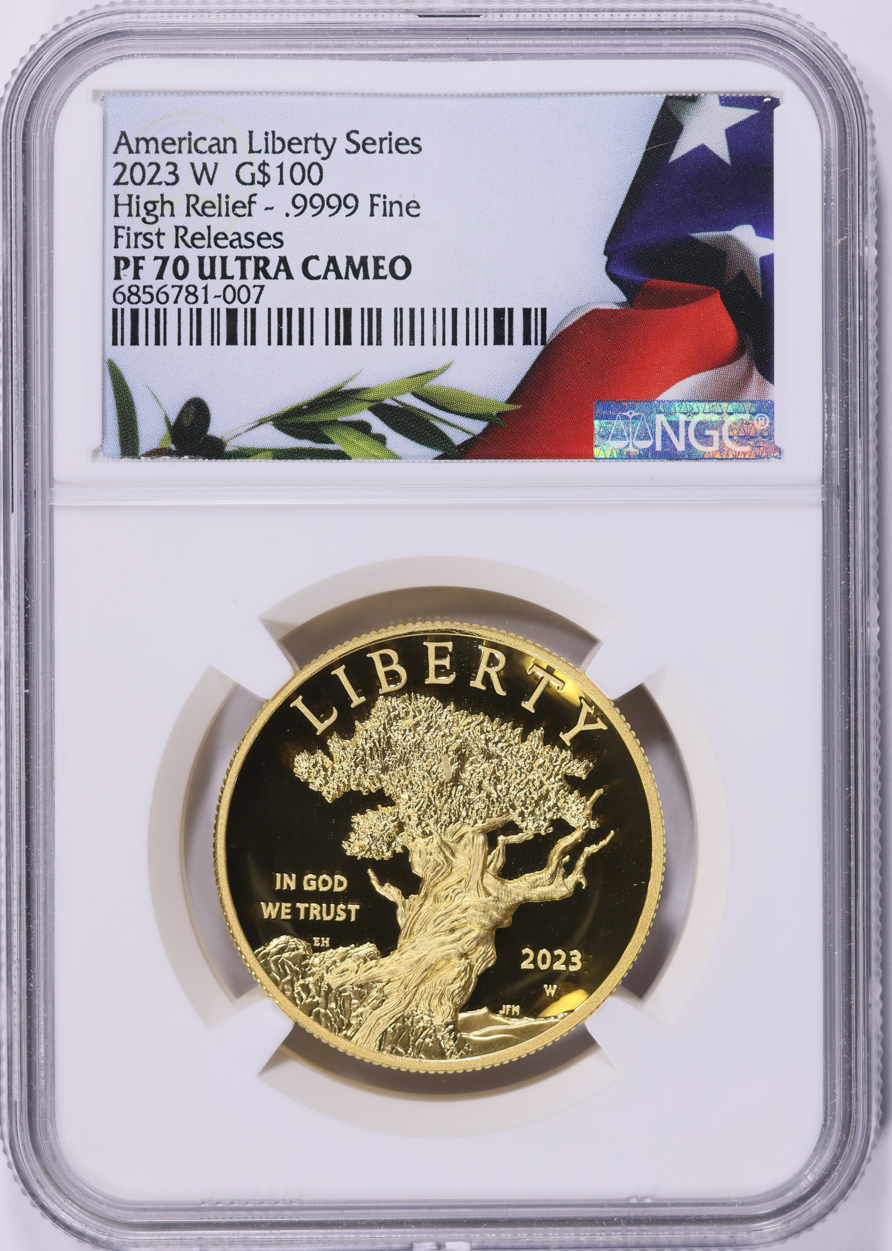 2023-W Gold $100 American Liberty High Relief First Releases NGC Proof ...