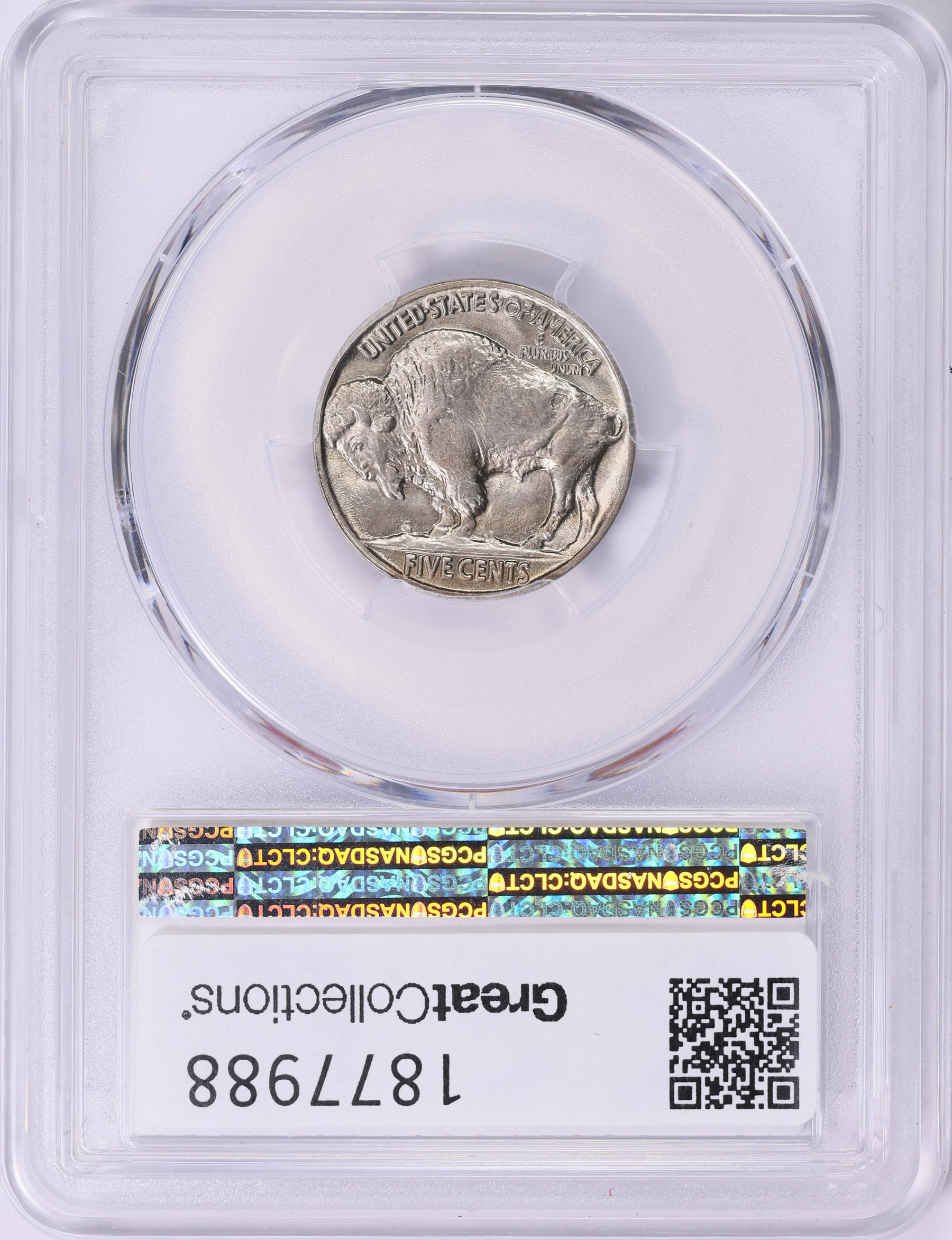 1917 Buffalo Nickel PCGS MS-64 (Item 1877988) | GreatCollections Coin ...