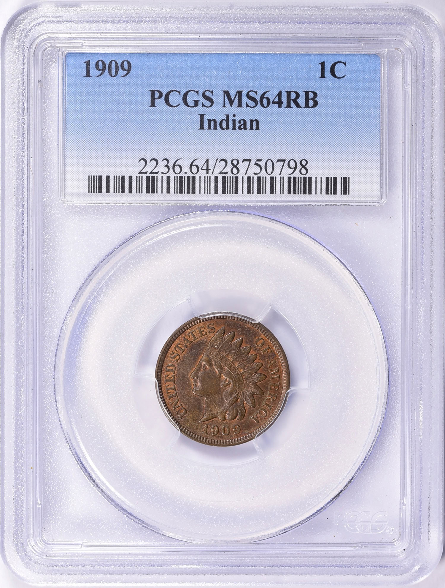 1909 Indian Cent PCGS MS-64 RB (Item 1900297) | GreatCollections Coin Auctions