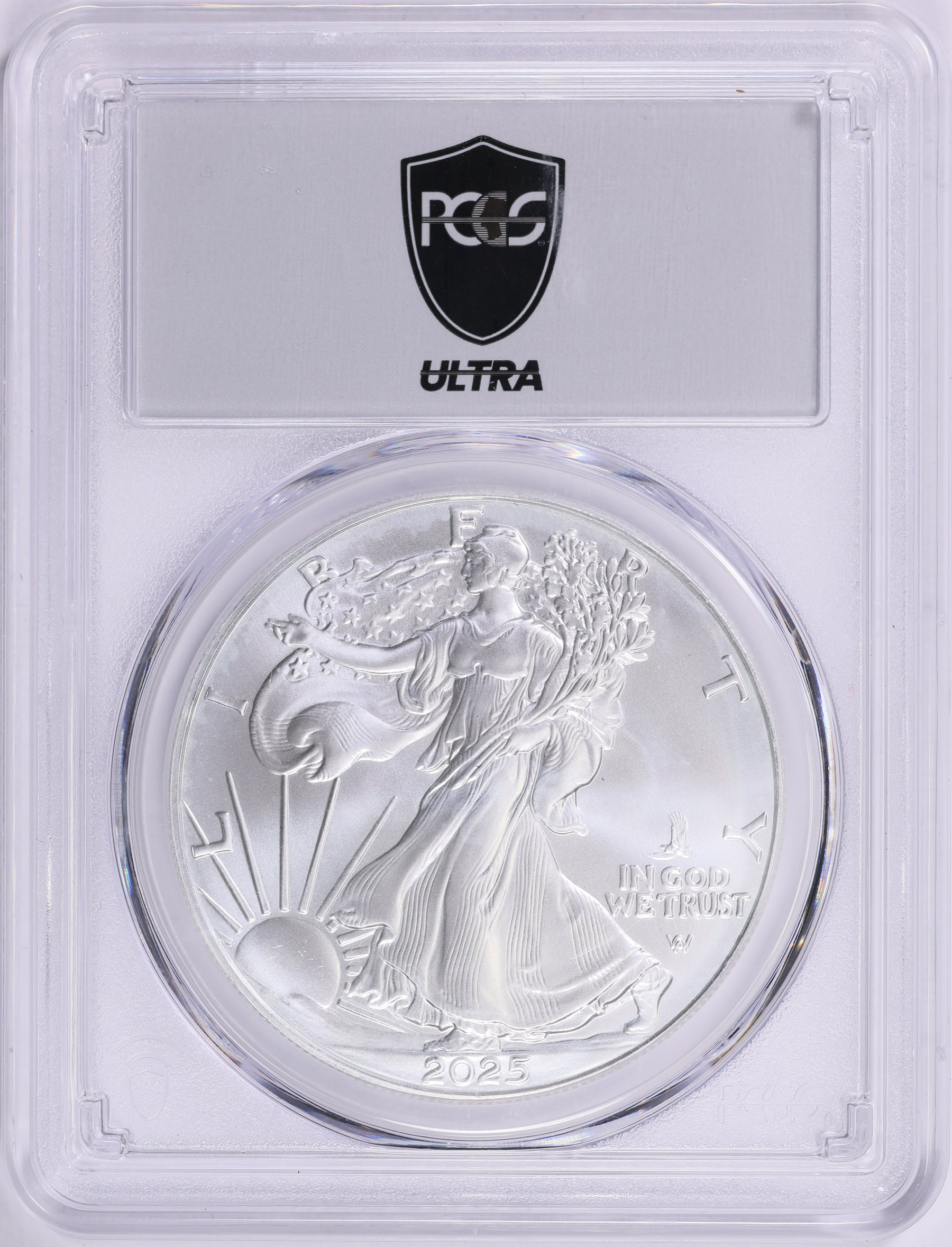 2025-(P) $1 Silver Eagle with Eagle Privy Struck at Philadelphia PCGS ...