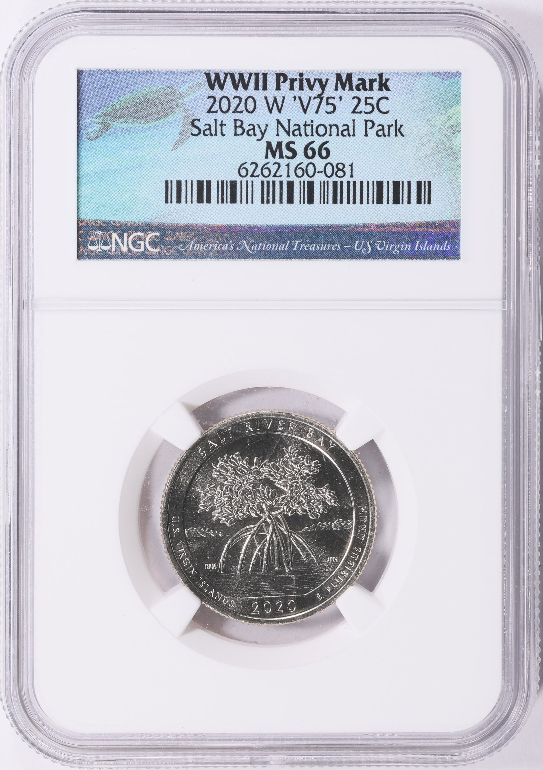 2020-W America the Beautiful Quarter Salt River National Park V75 NGC ...